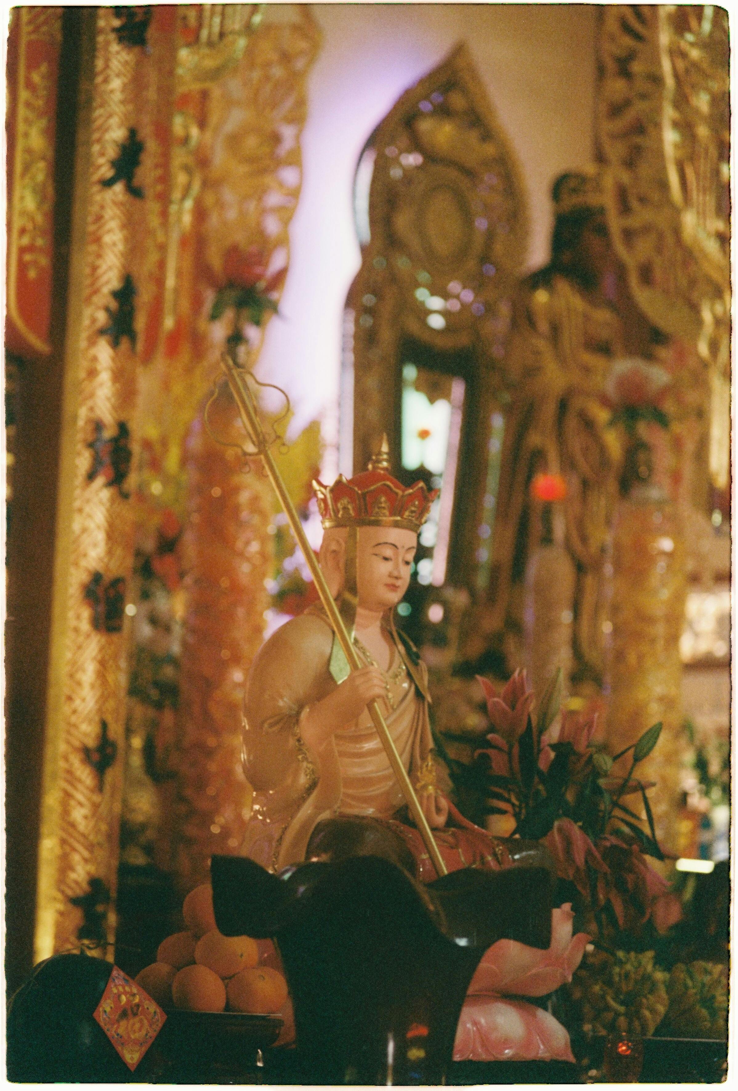 Tet Photos, Download The BEST Free Tet Stock Photos & HD Images