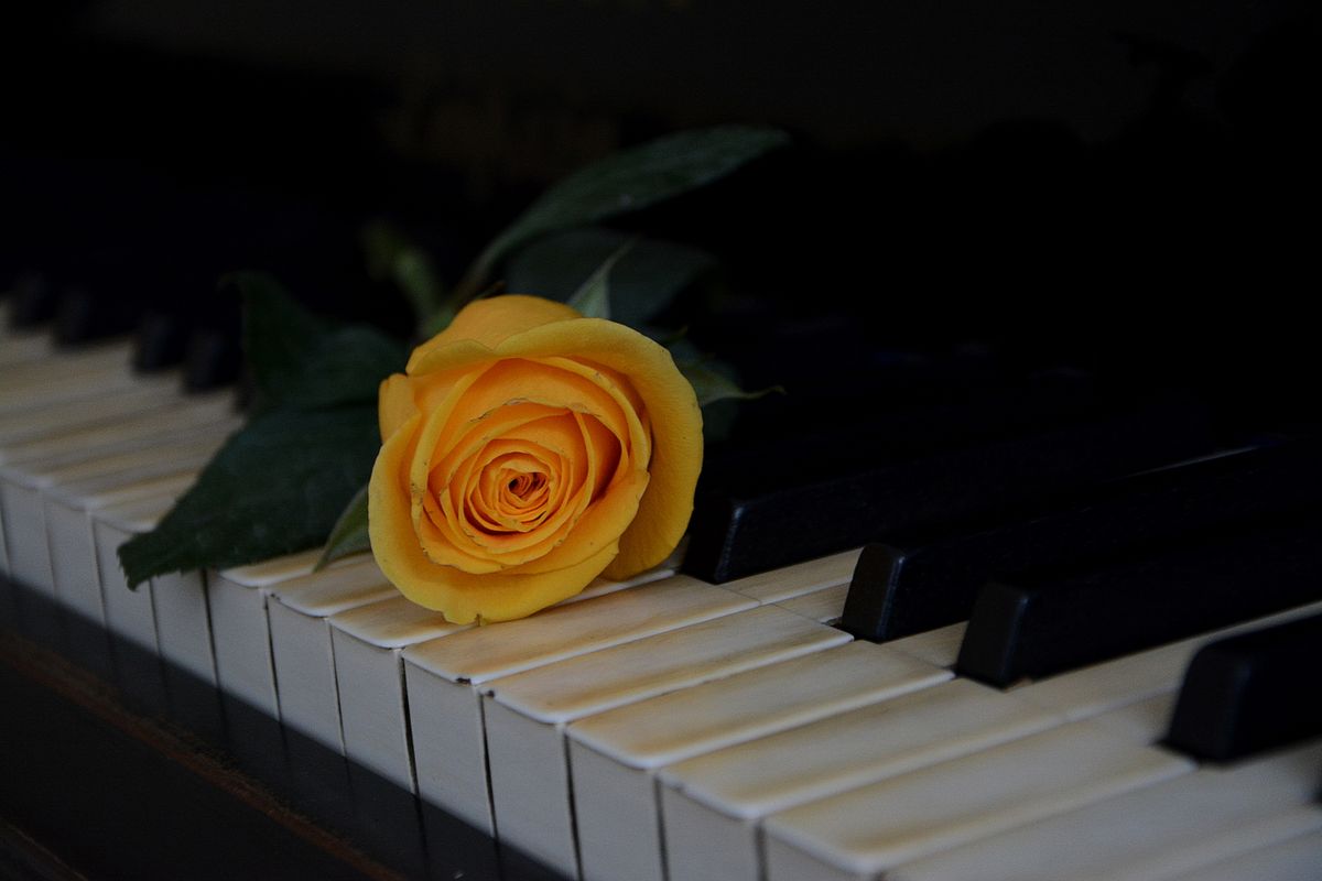 Images Of Piano Photos, Download The BEST Free Images Of Piano Stock ...