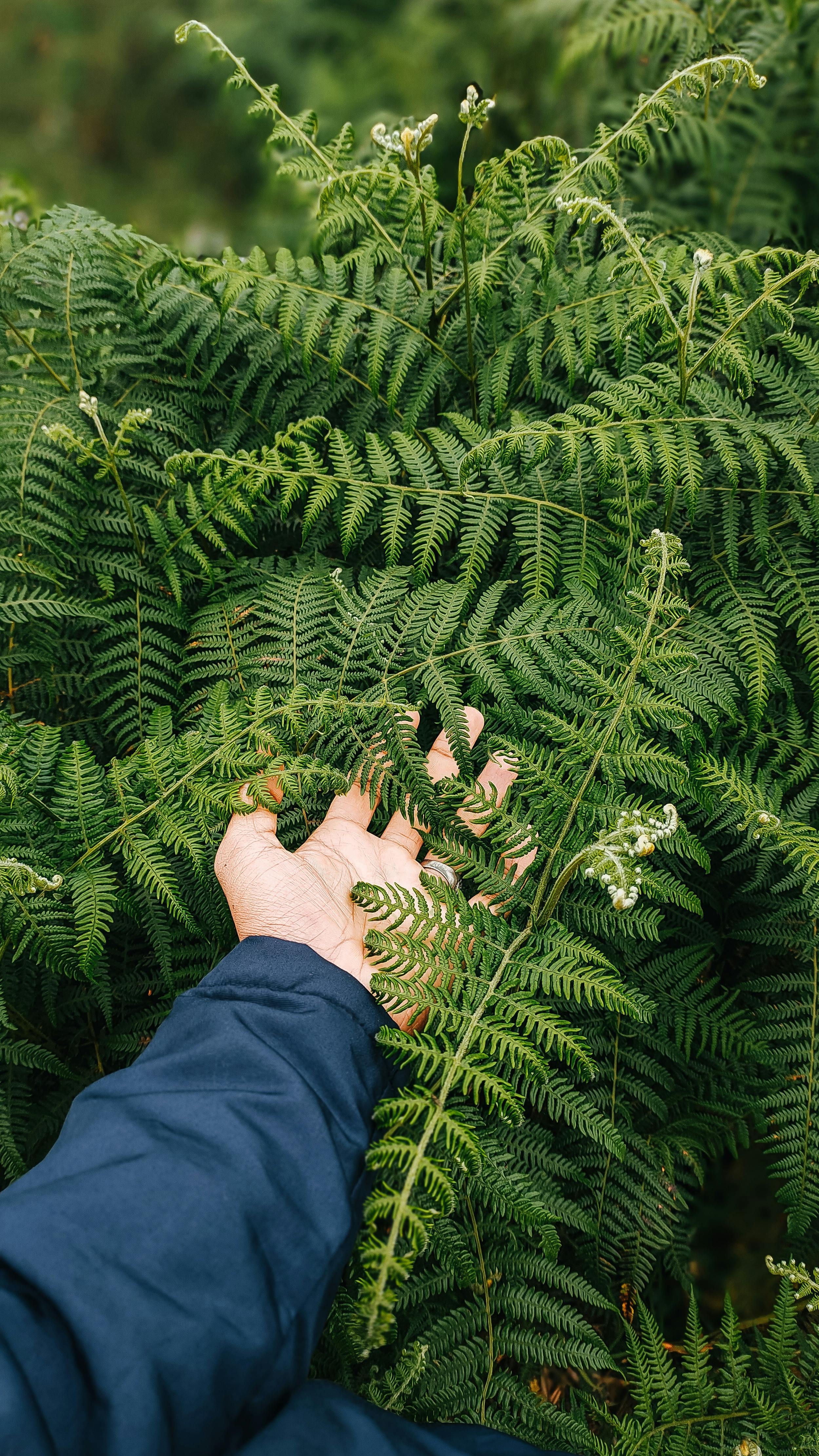 Youtube Growth Photos, Download The BEST Free Youtube Growth Stock ...