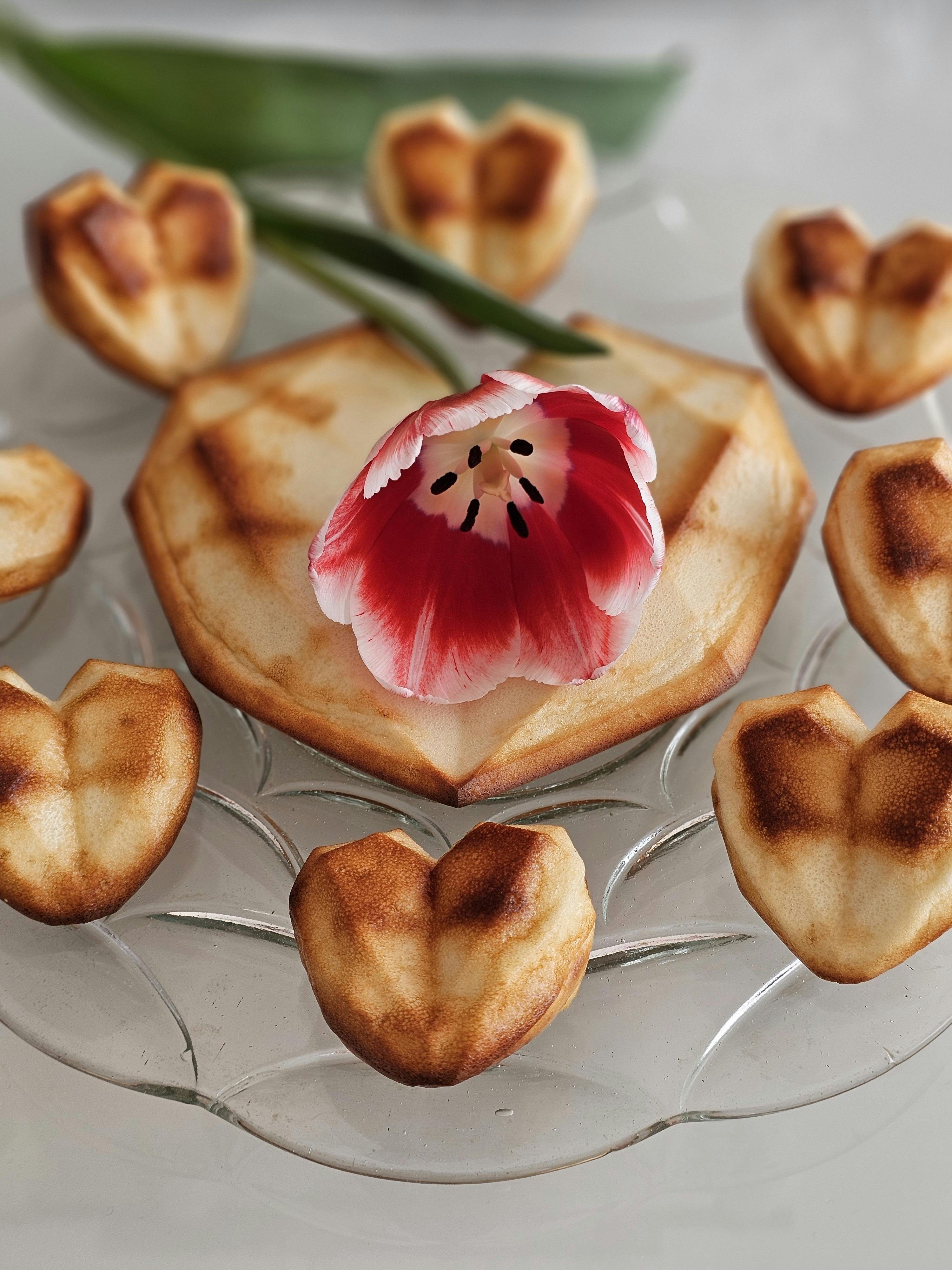 Spring Potluck Dinner Photos, Download The BEST Free Spring Potluck ...