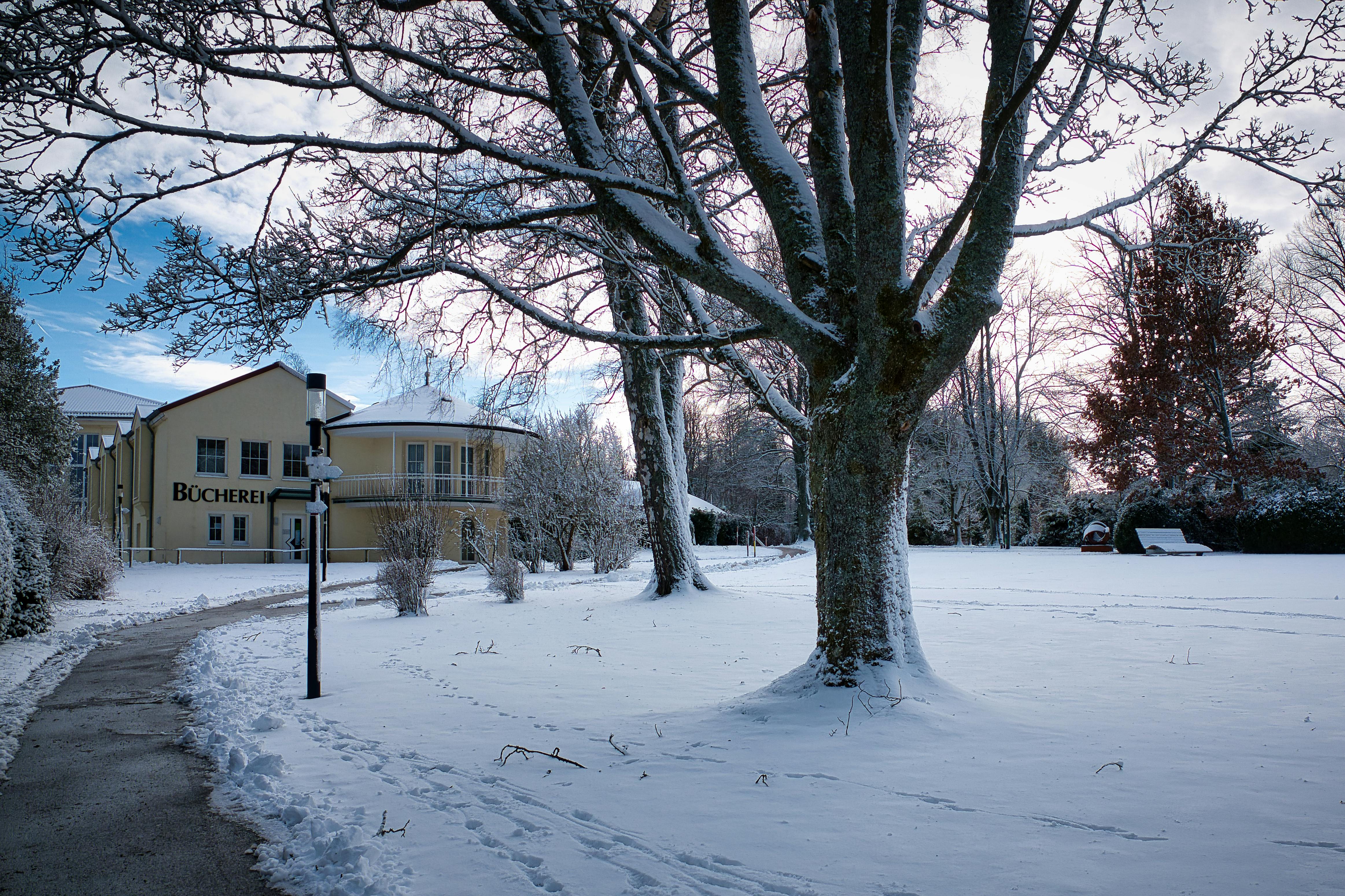 Snow around Trees with Library Building behind · Free Stock Photo