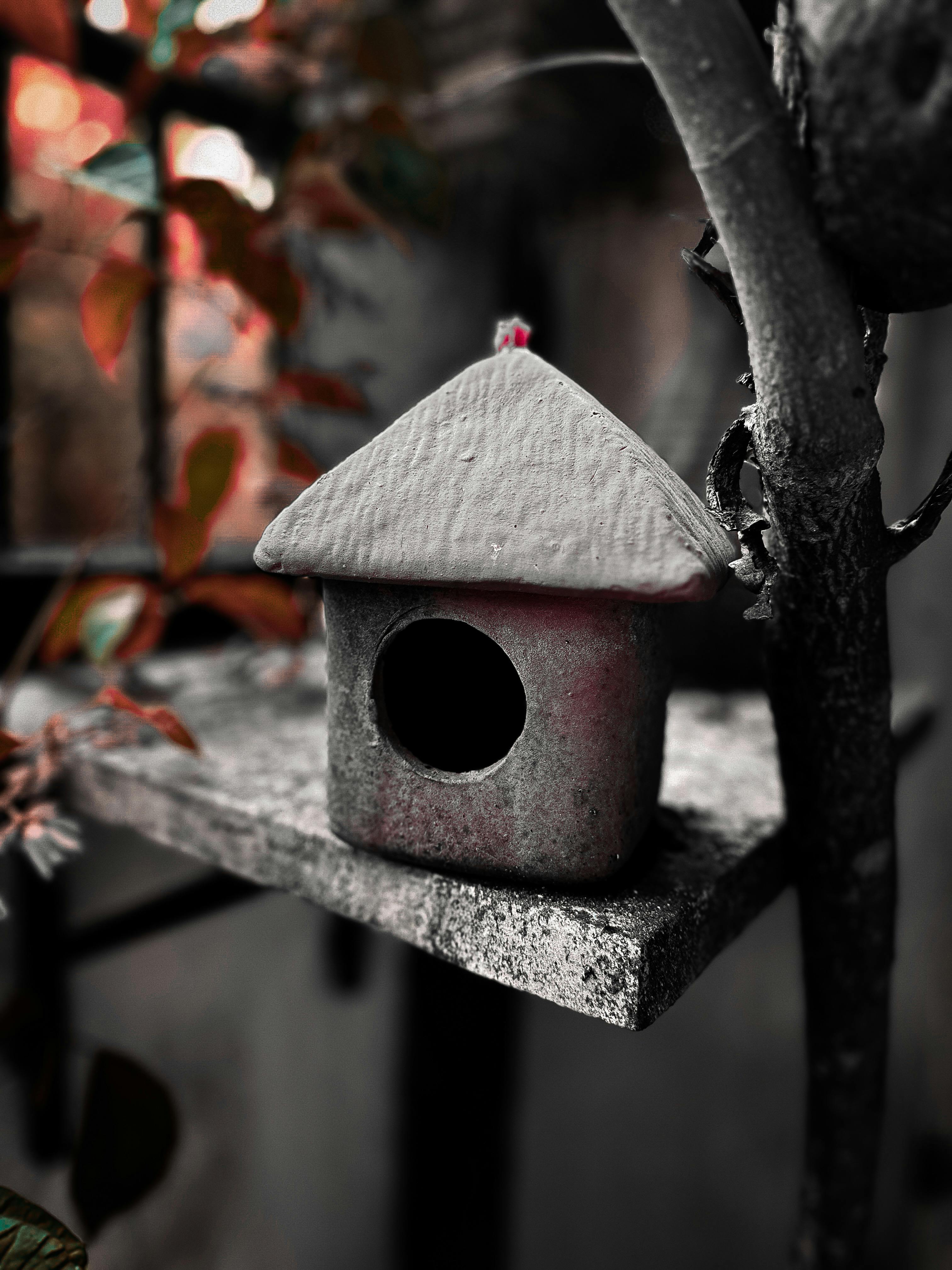 Devin kumaradasa - 攝影