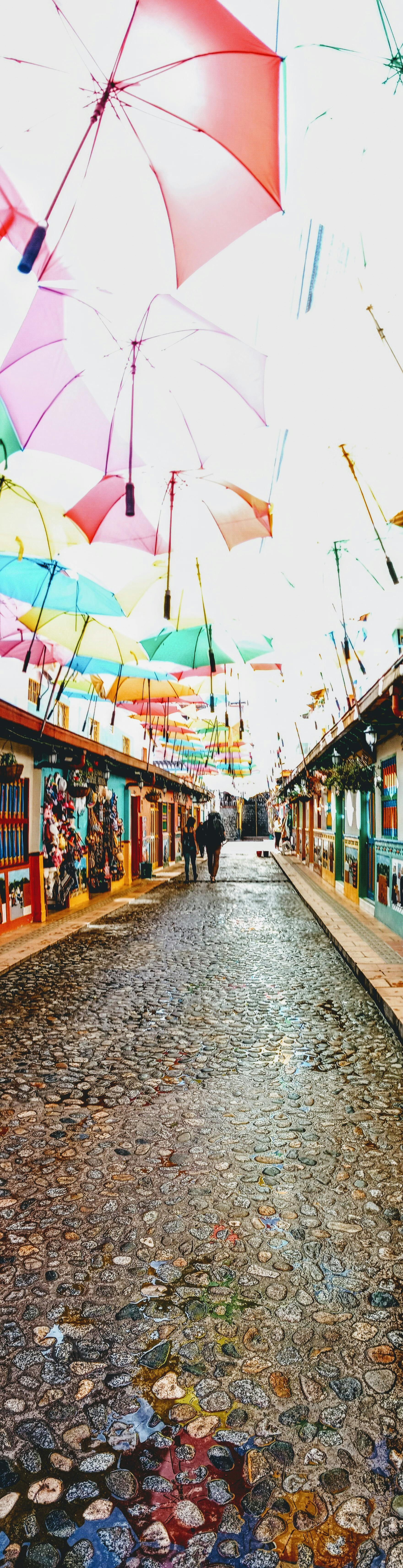 Eduardo Cabrera - 攝影