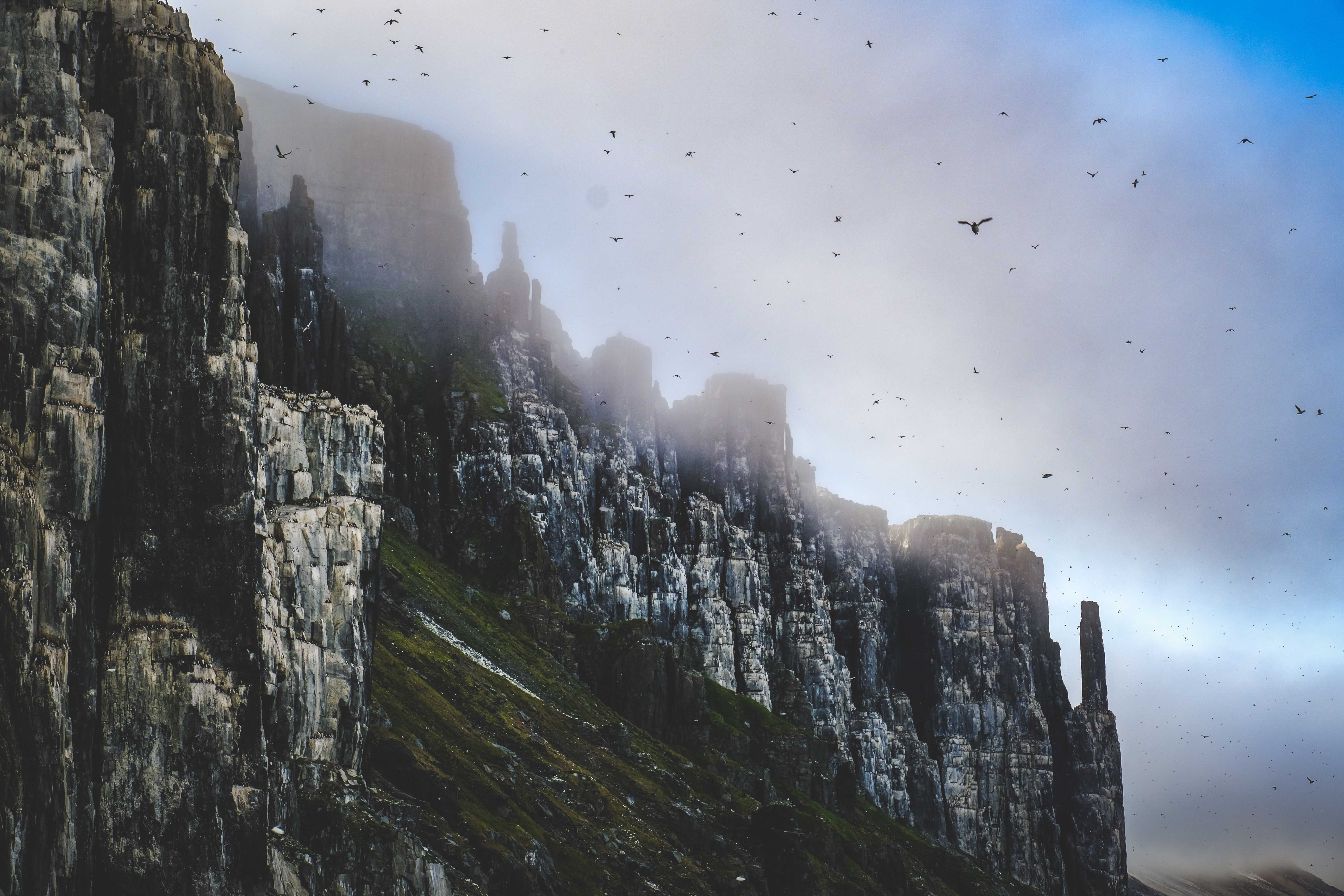 Birds Flying over Rock Formations on Hill · Free Stock Photo