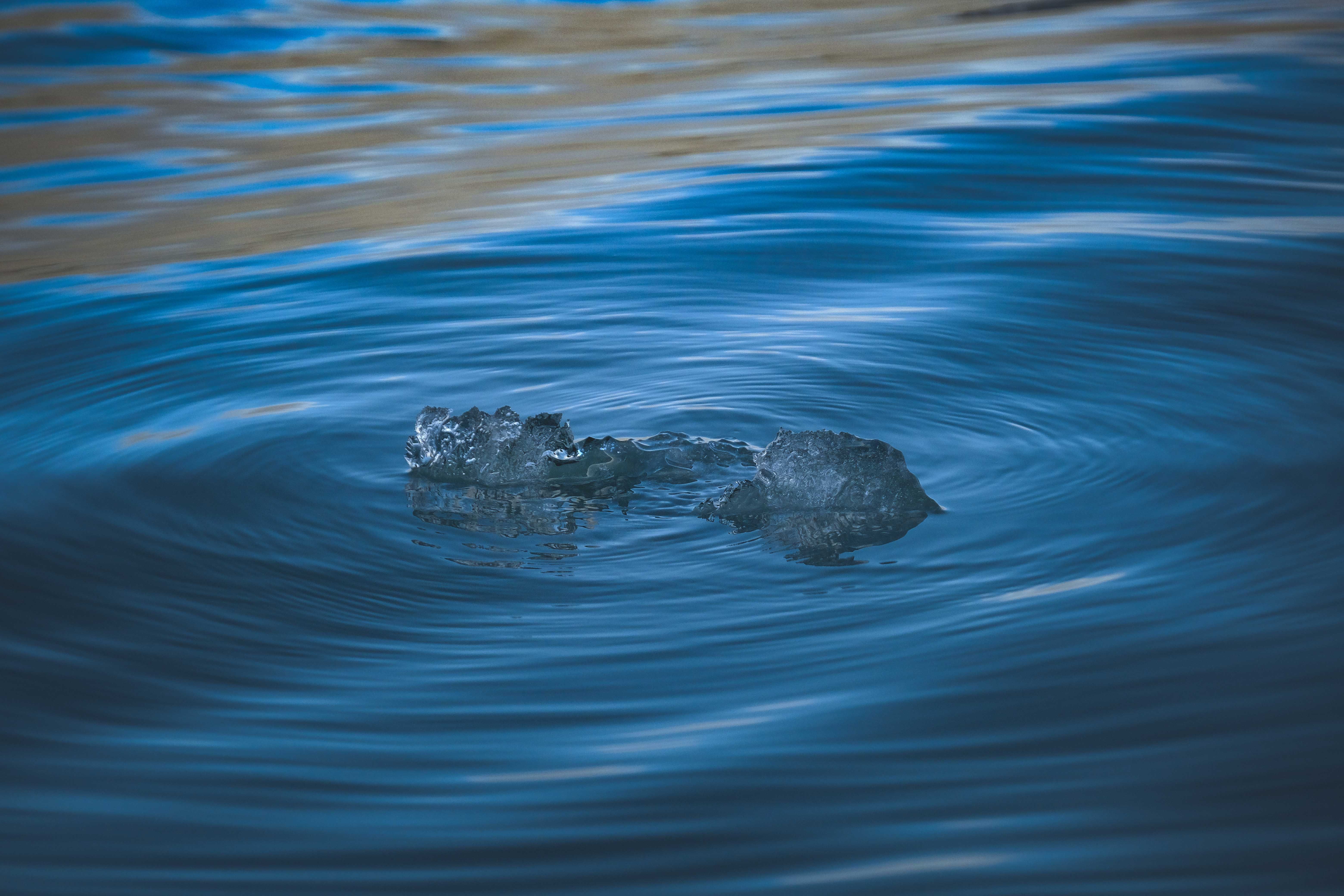 Gray Lump of Melting Ice in the Sea · Free Stock Photo