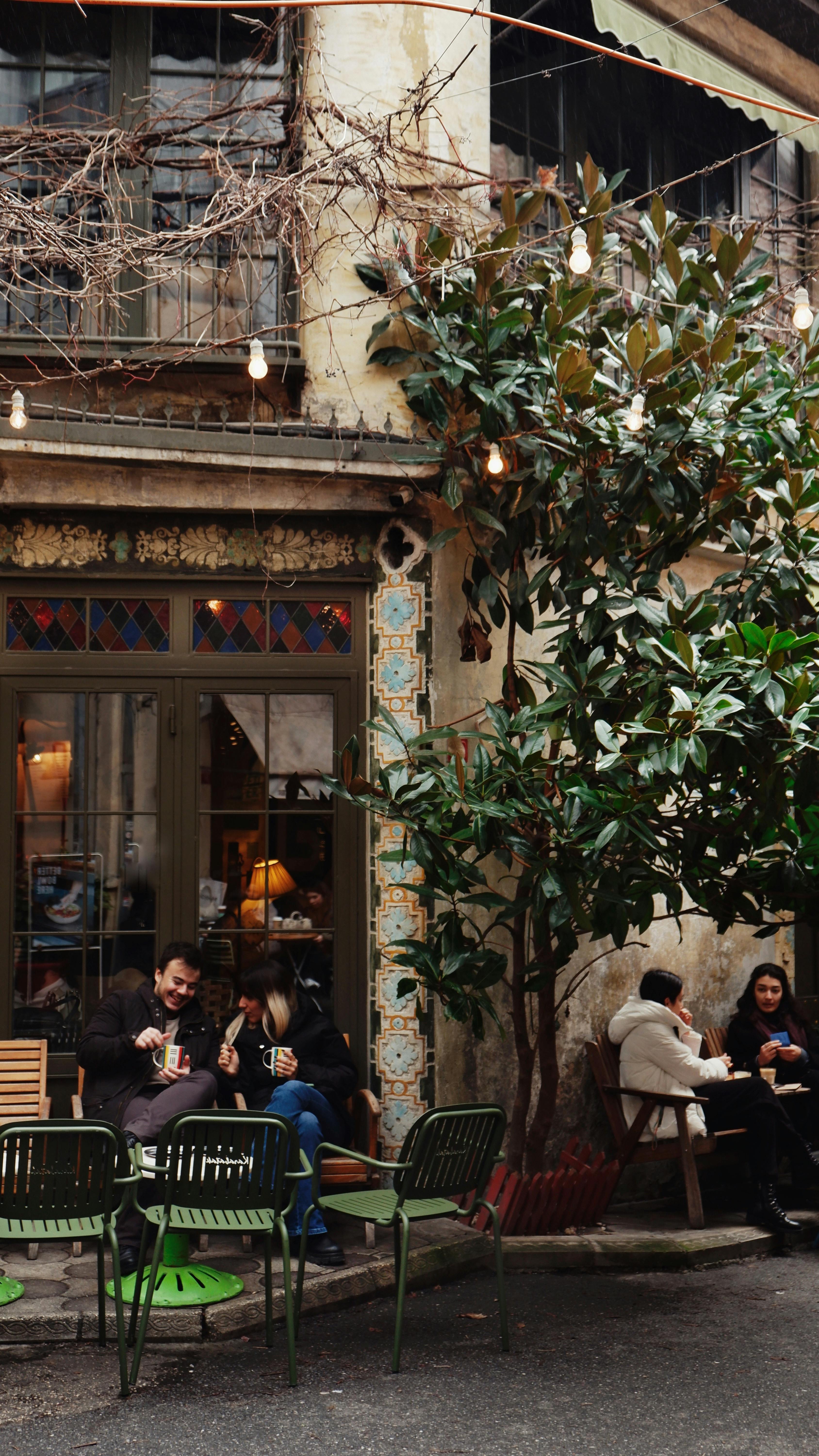 People Sitting under Tree at Cafe · Free Stock Photo