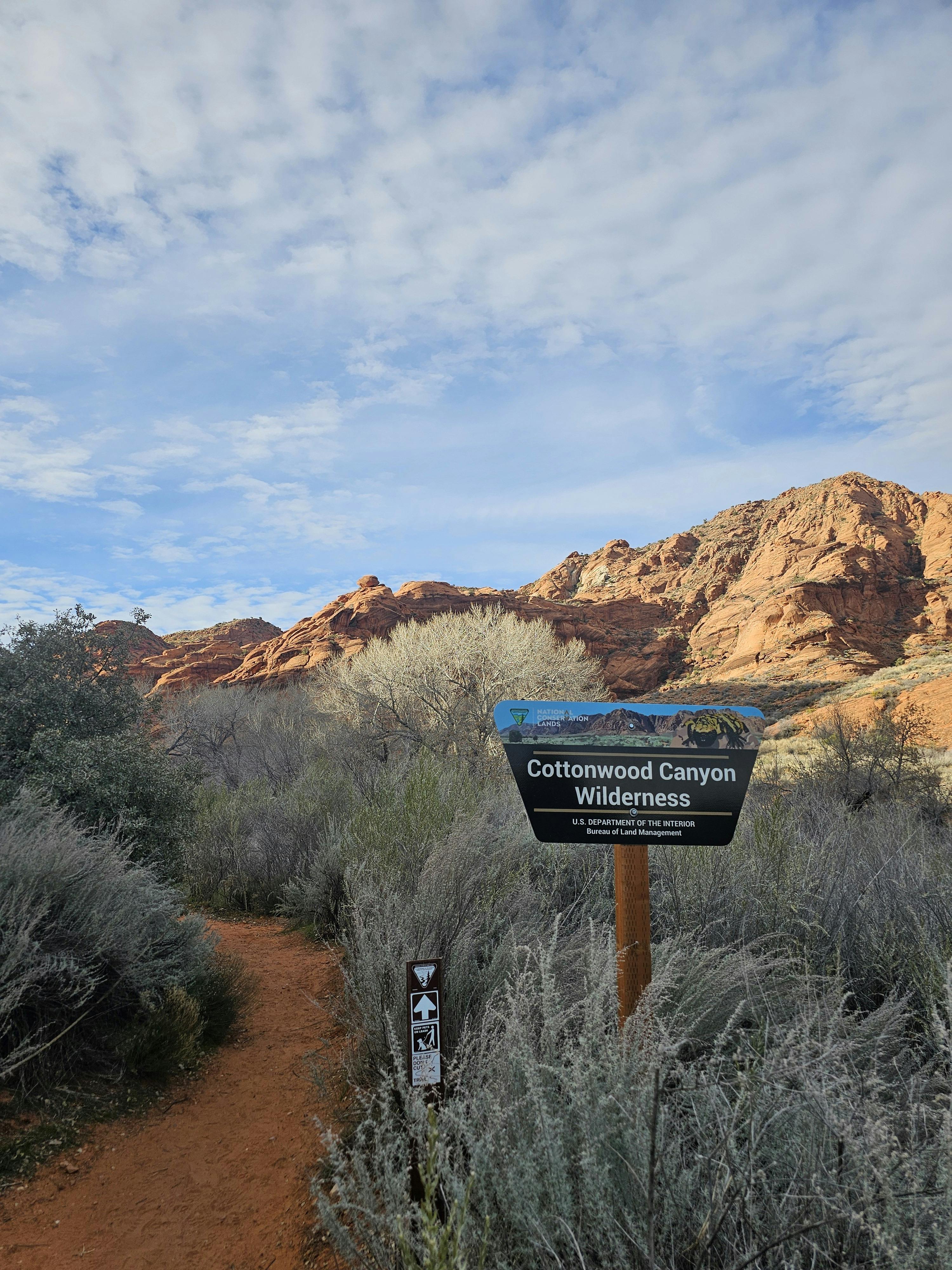 Foto profissional gratuita de américa do norte, ao ar livre, arbustos, área protegida, área ...