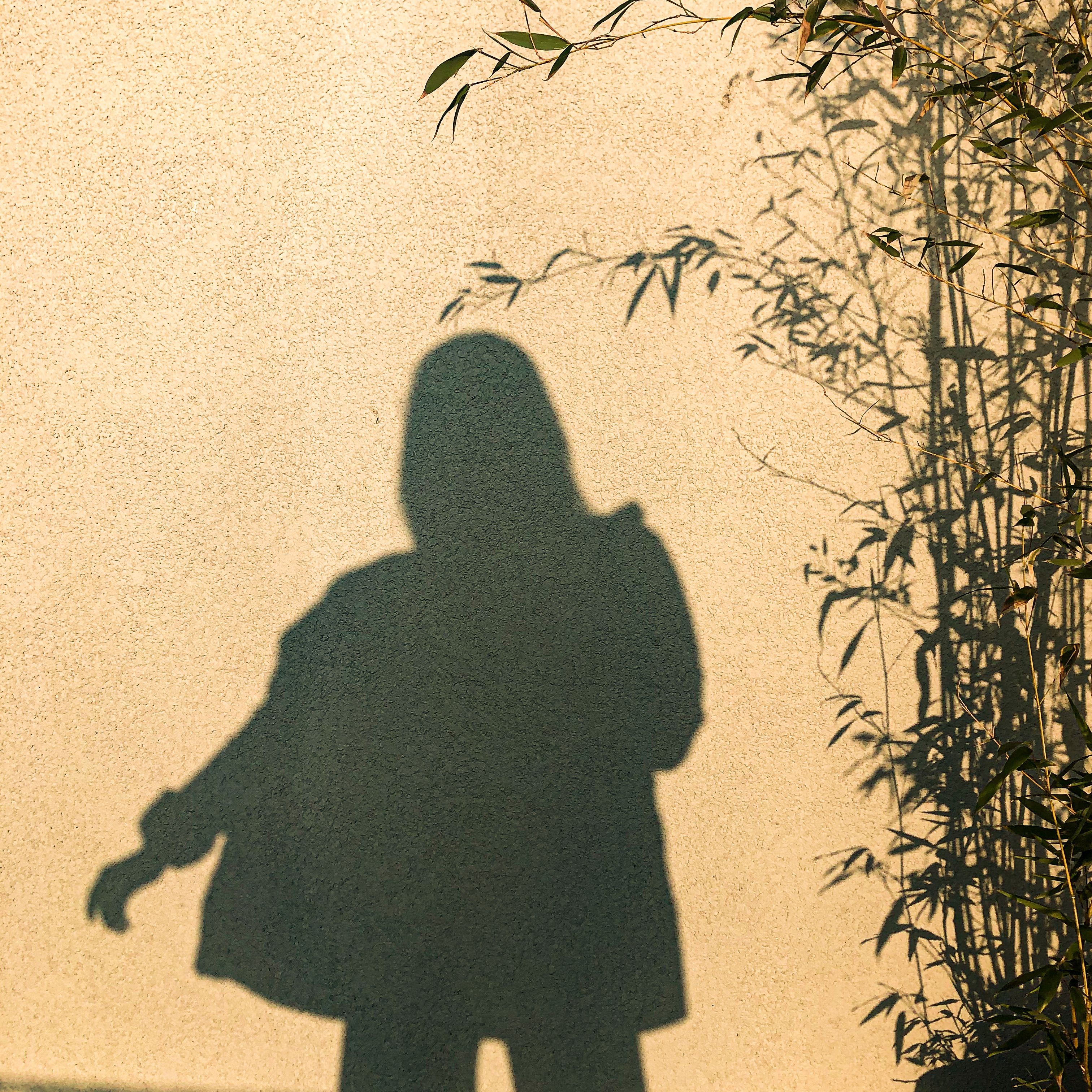 Person and Leaves Shadow on Sunlit Wall · Free Stock Photo