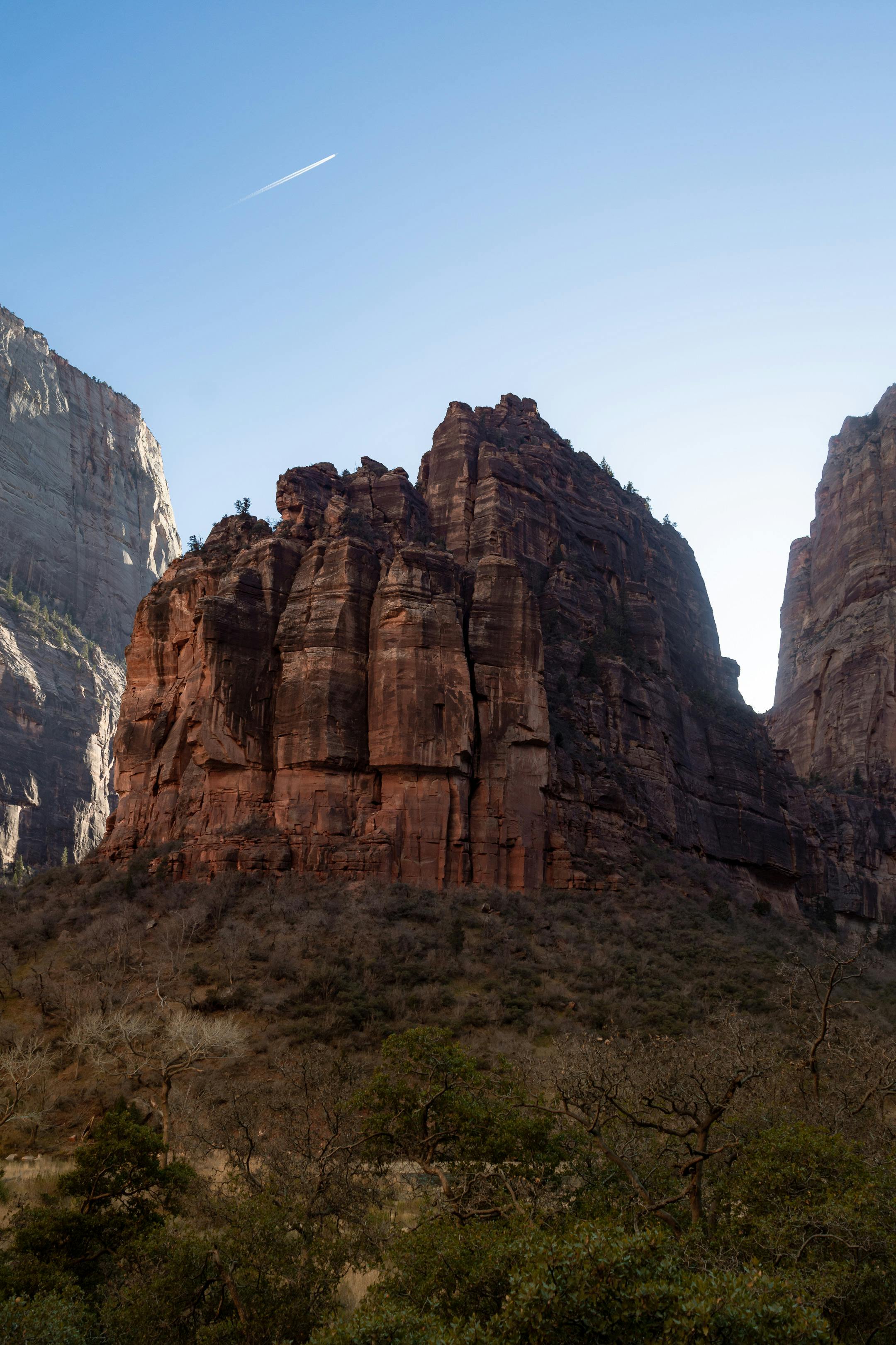 Big Rocks Behind Trees · Free Stock Photo