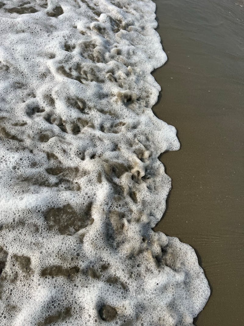 Beach Foam Photos, Download The BEST Free Beach Foam Stock Photos & HD ...
