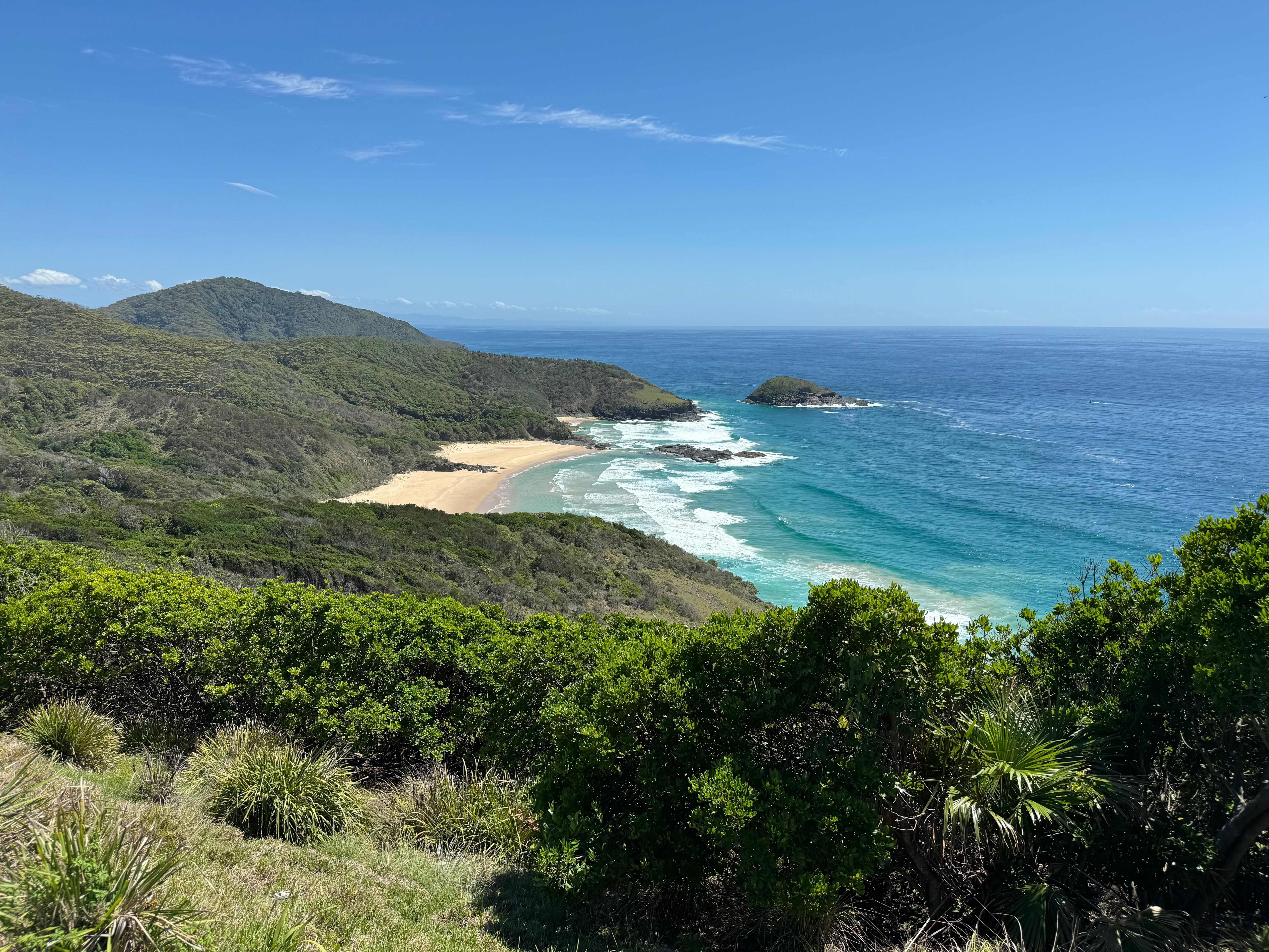 Green Terrain and Sandy Beach on Ocean Shore · Free Stock Photo
