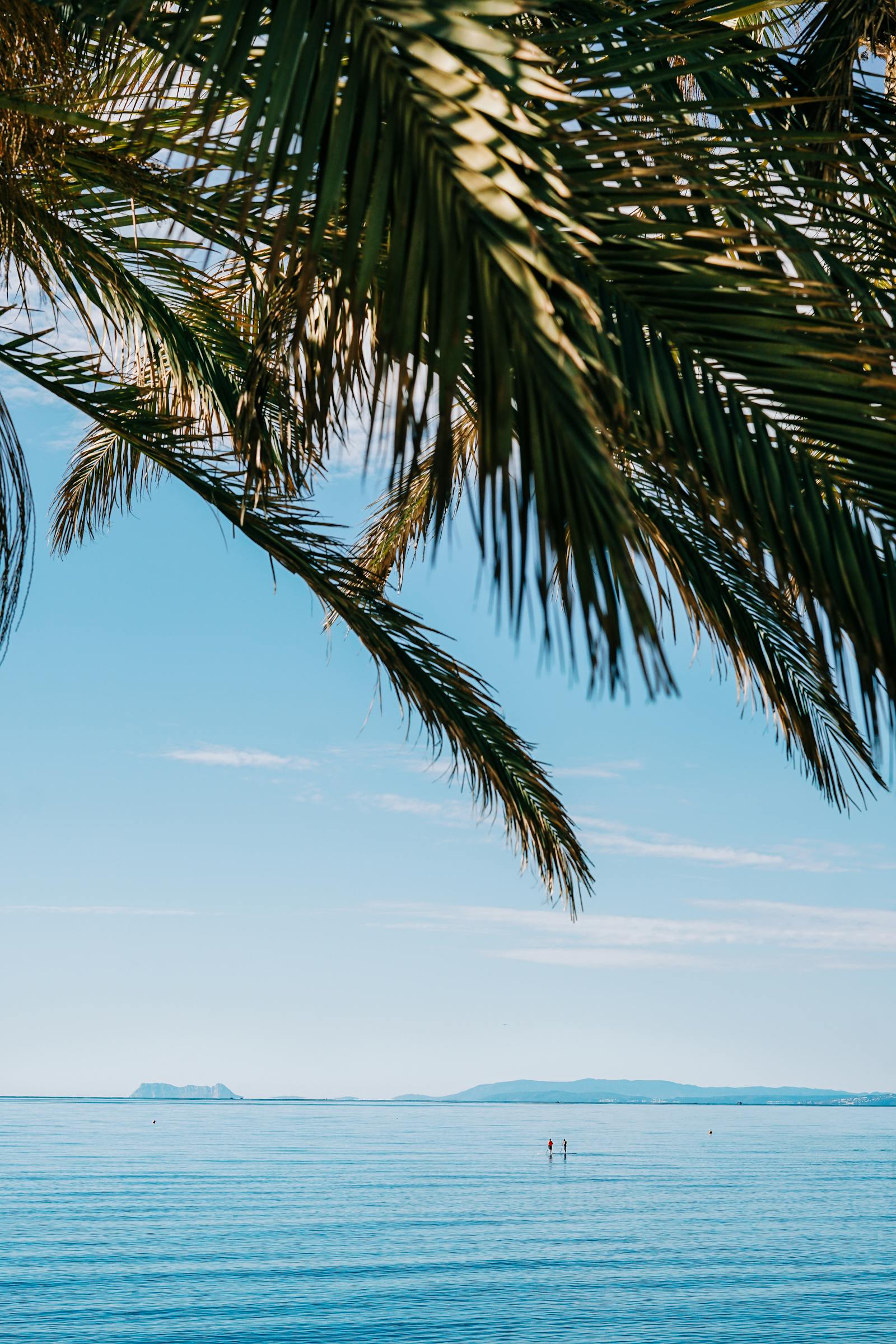 Sol Photos, Download The BEST Free Sol Stock Photos & HD Images