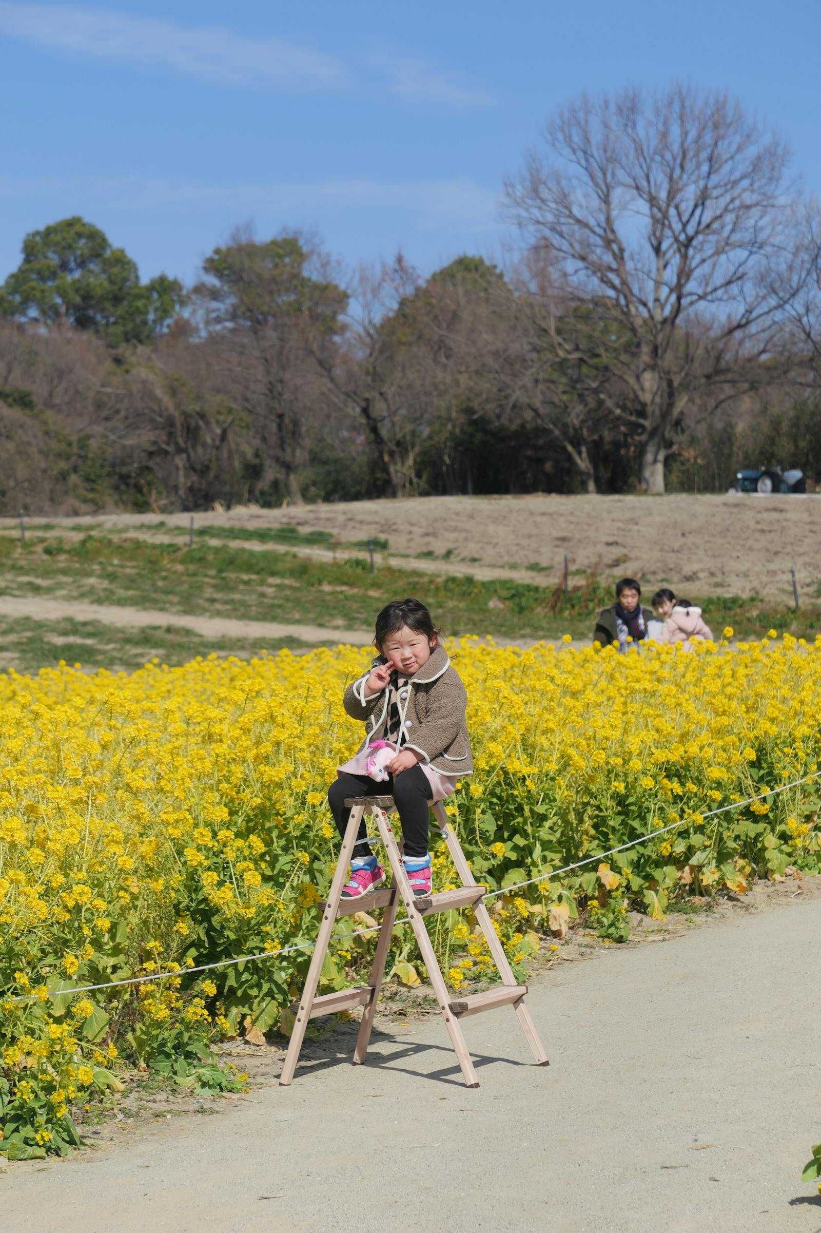 Girl Field Photos, Download The BEST Free Girl Field Stock Photos & HD ...
