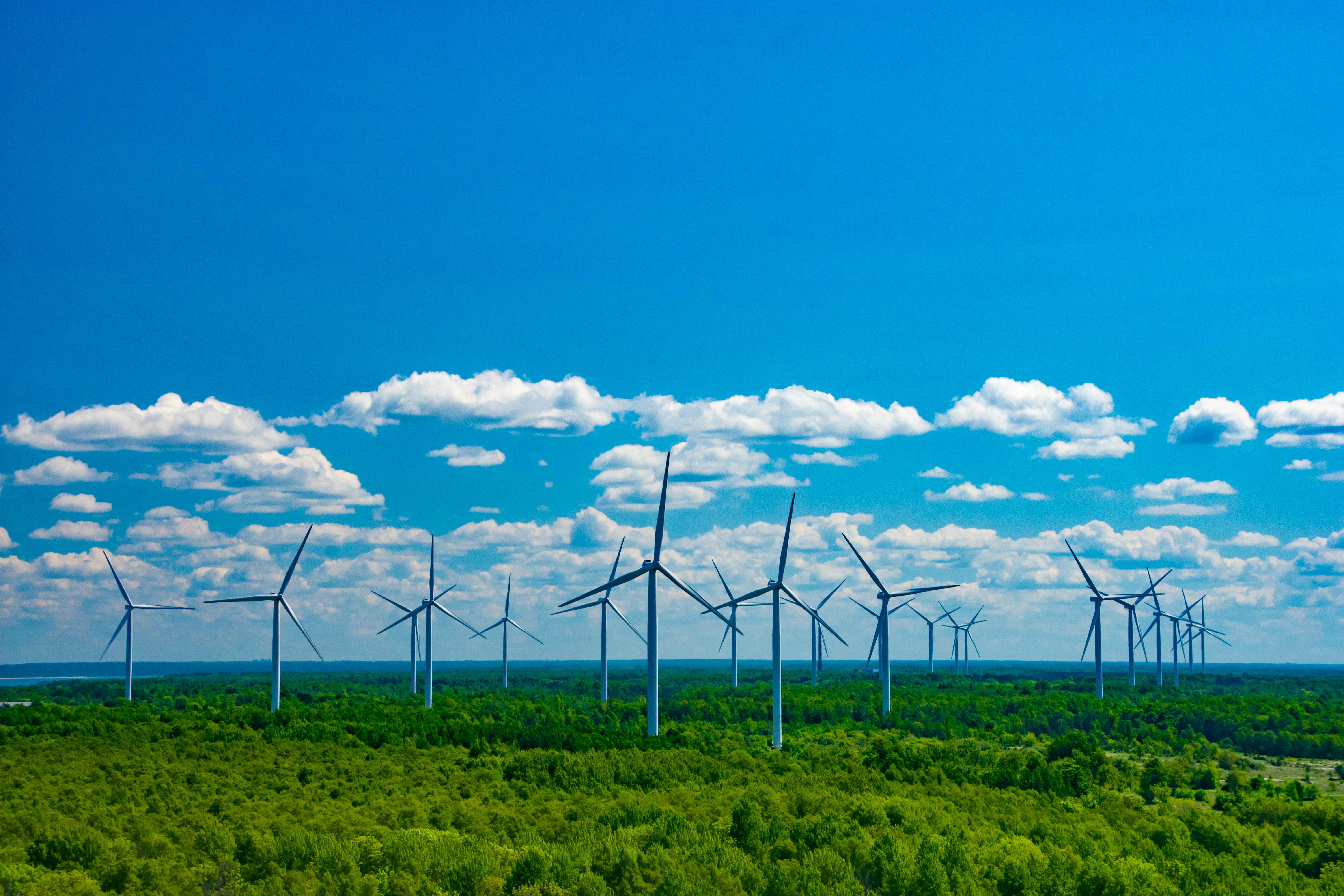 Wind Turbines in Forest under Clouds · Free Stock Photo