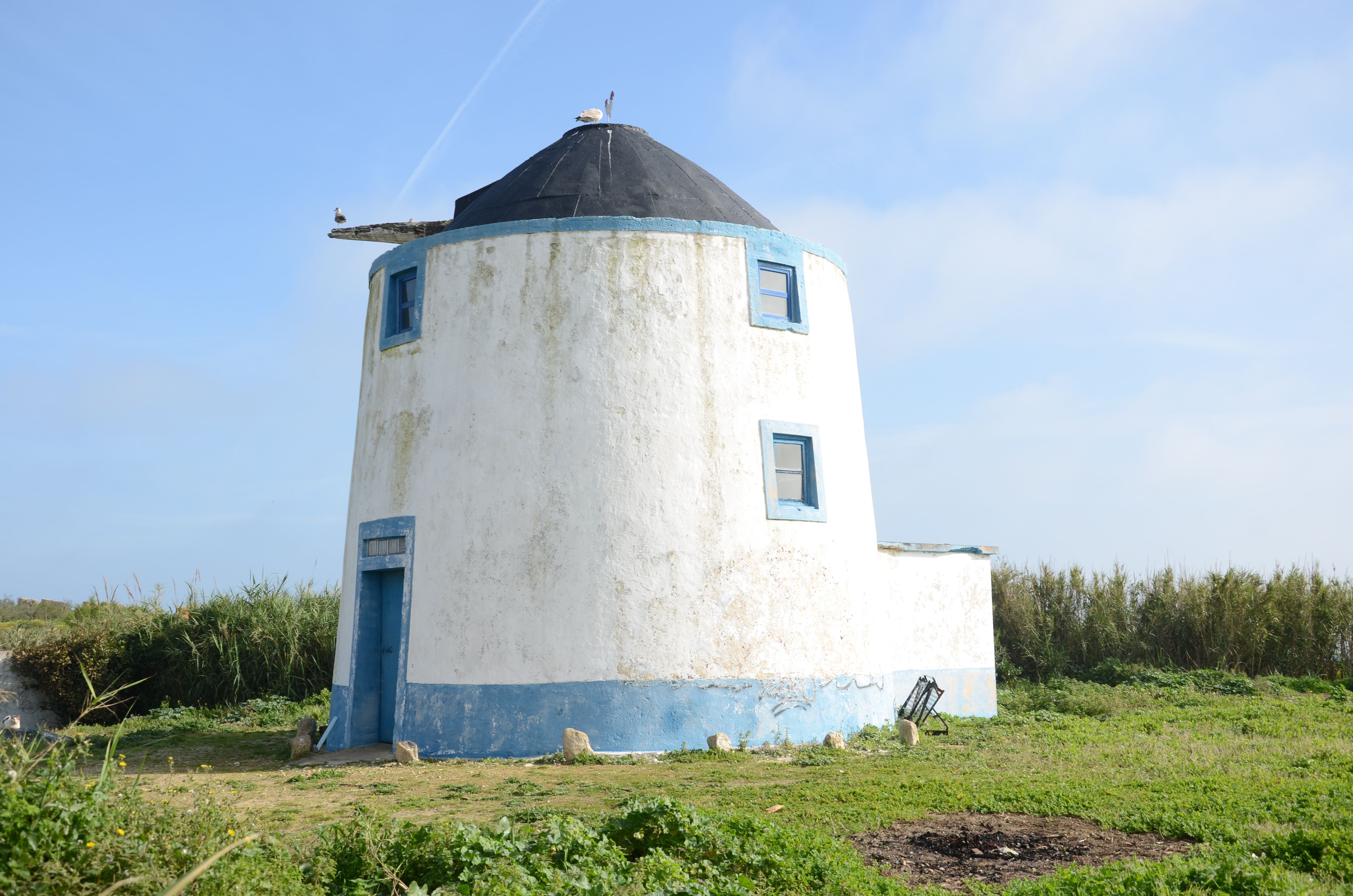 Small White Lighthouse · Free Stock Photo