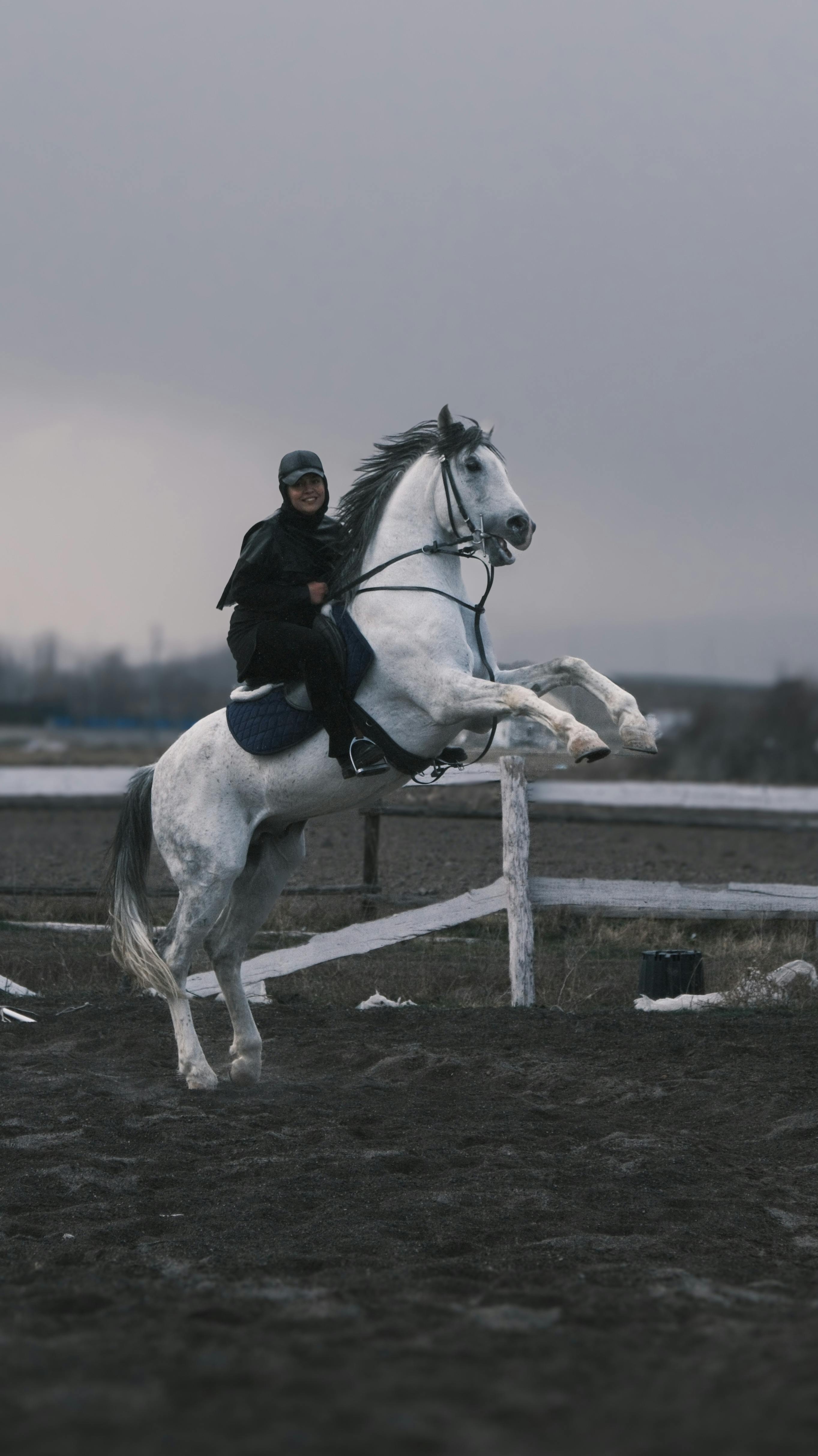 Smiling Woman Riding White Horse · Free Stock Photo