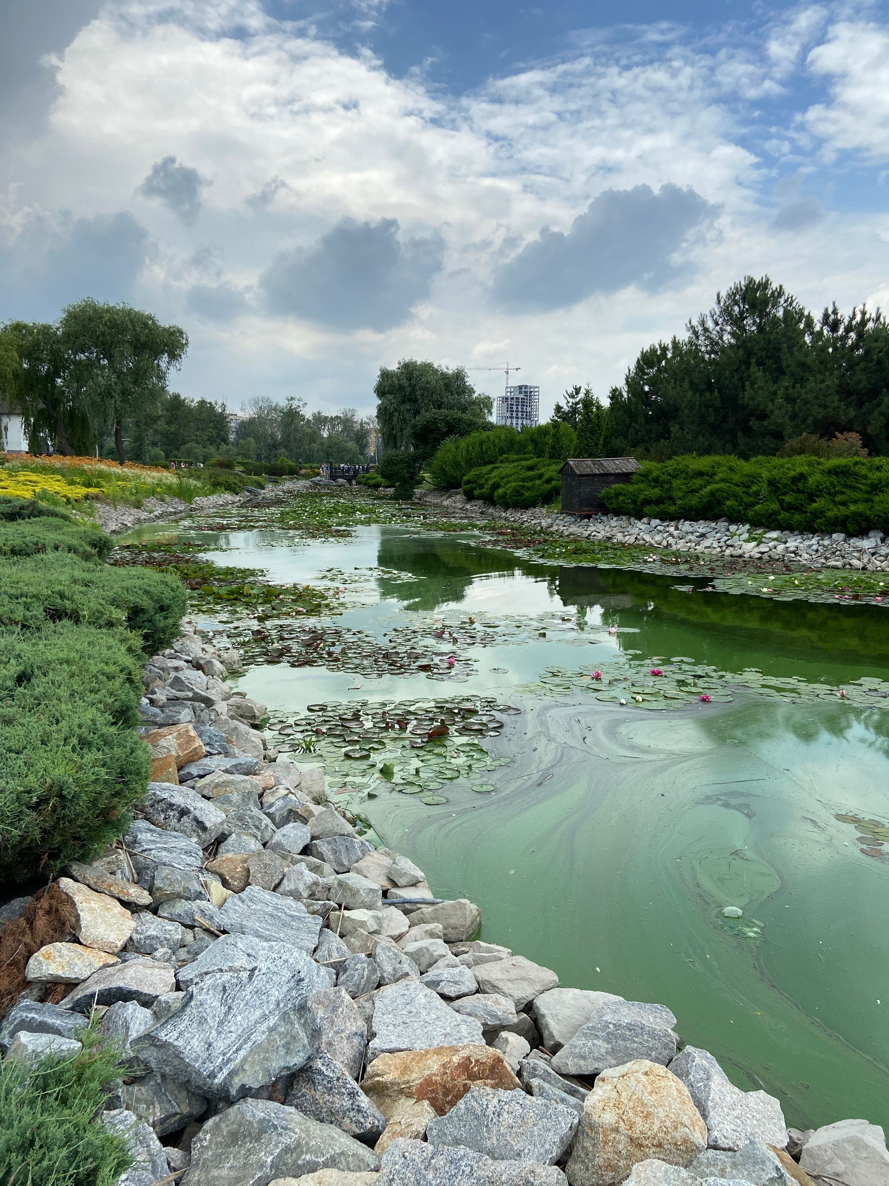 Stones around River in Park · Free Stock Photo