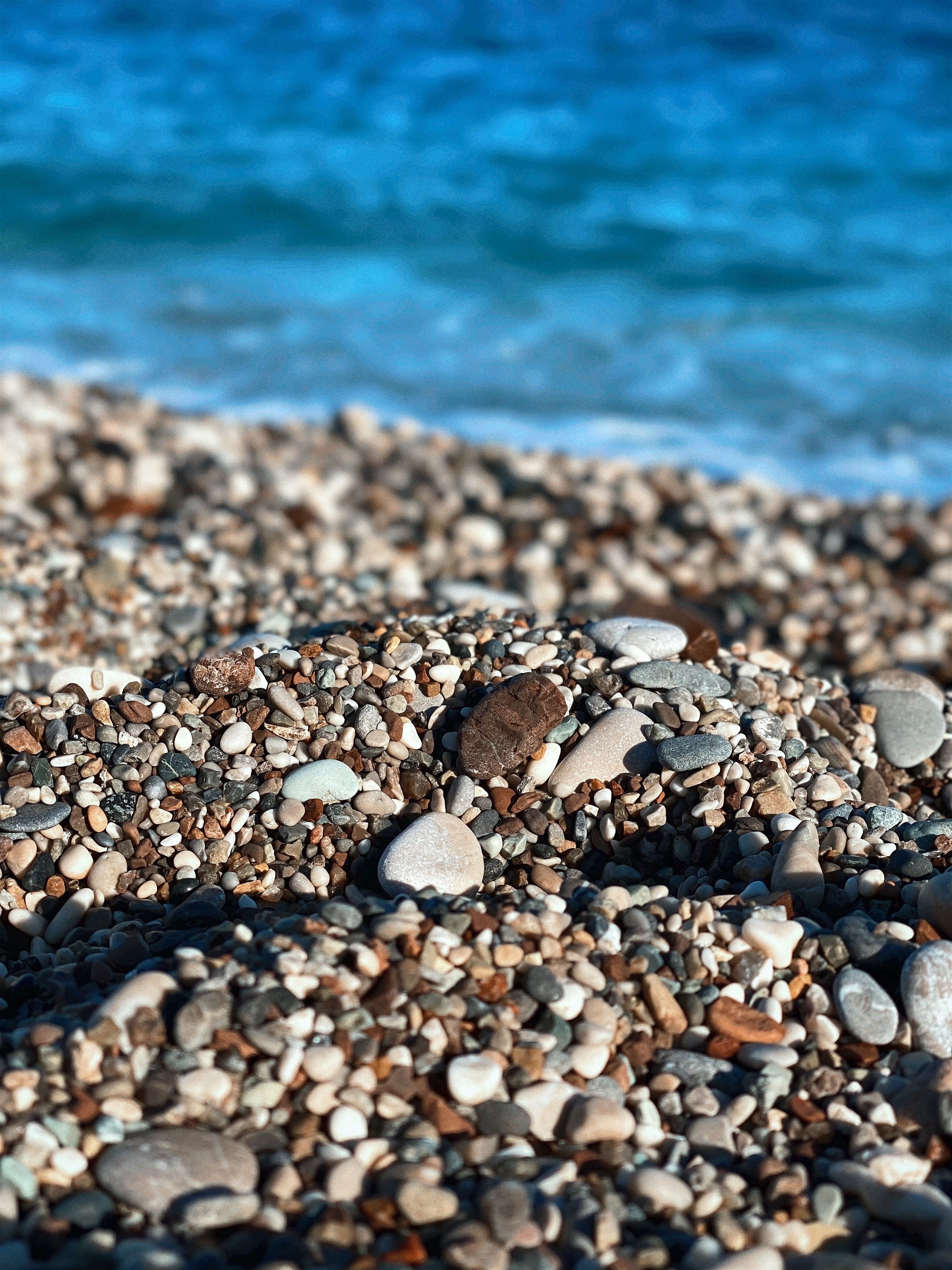 Small Pebbles on Sea Shore · Free Stock Photo