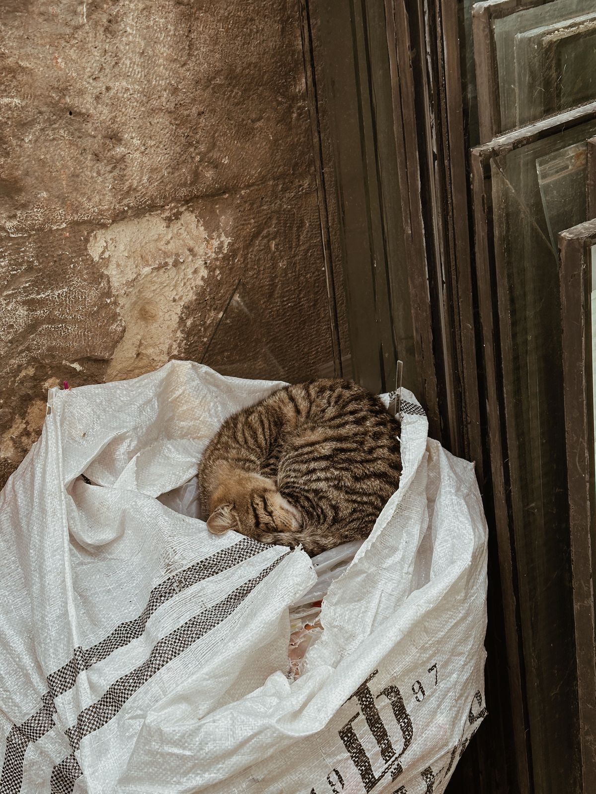 Sleep Images Photos, Download The BEST Free Sleep Images Stock Photos ...