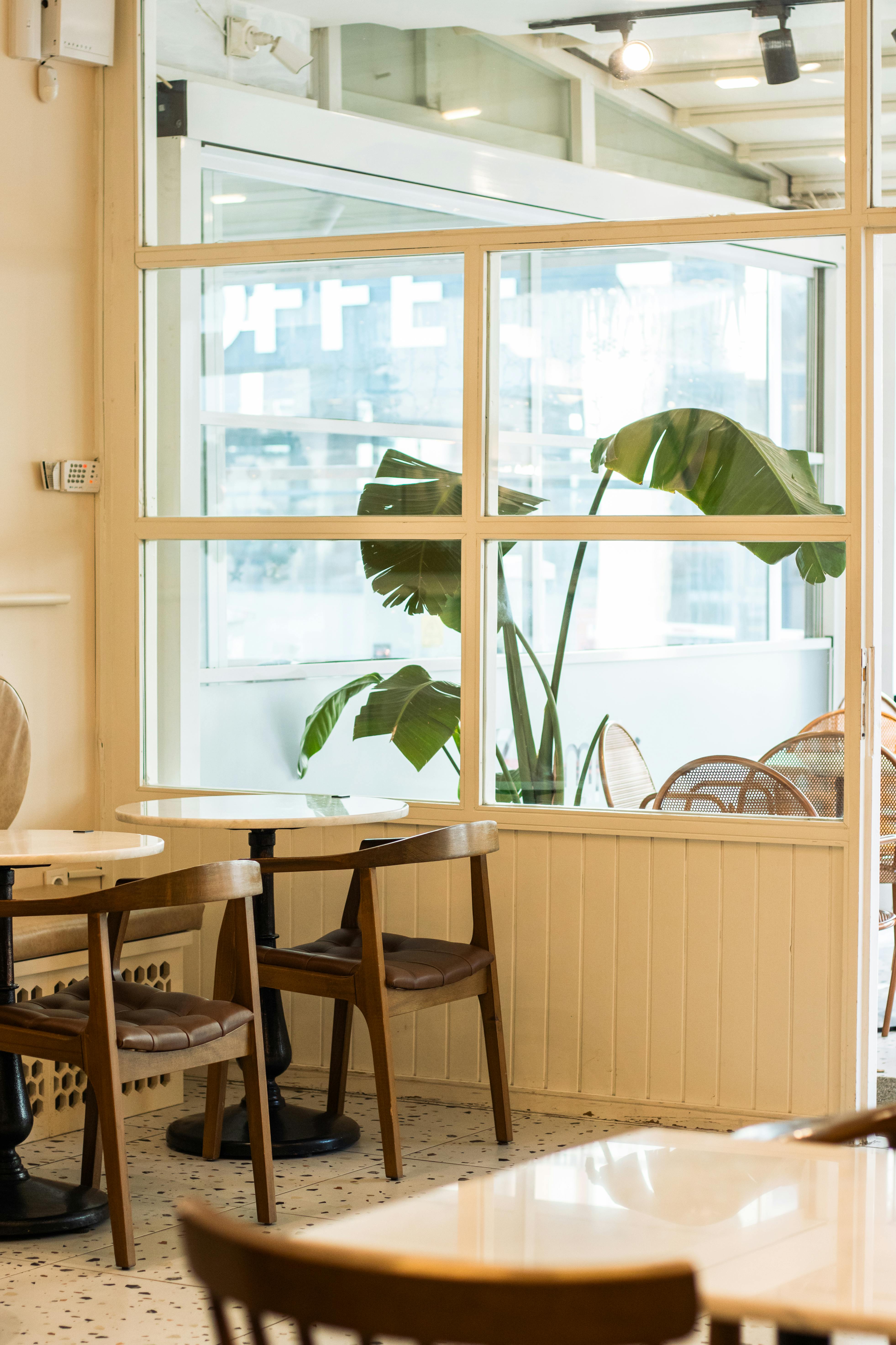 Coding Cafe Photos, Download The BEST Free Coding Cafe Stock Photos ...