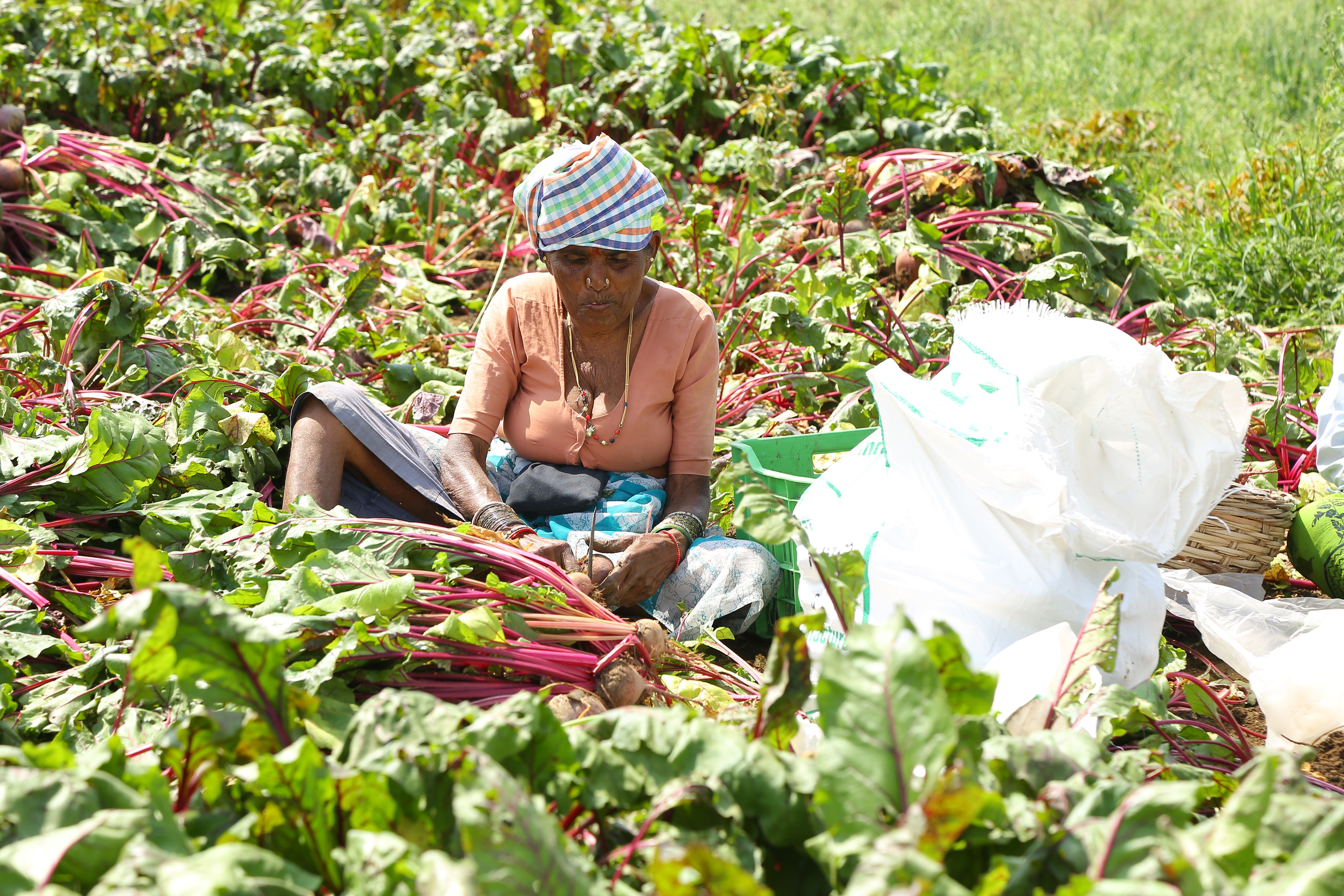 Farmer Readiness Photos, Download The BEST Free Farmer Readiness Stock ...