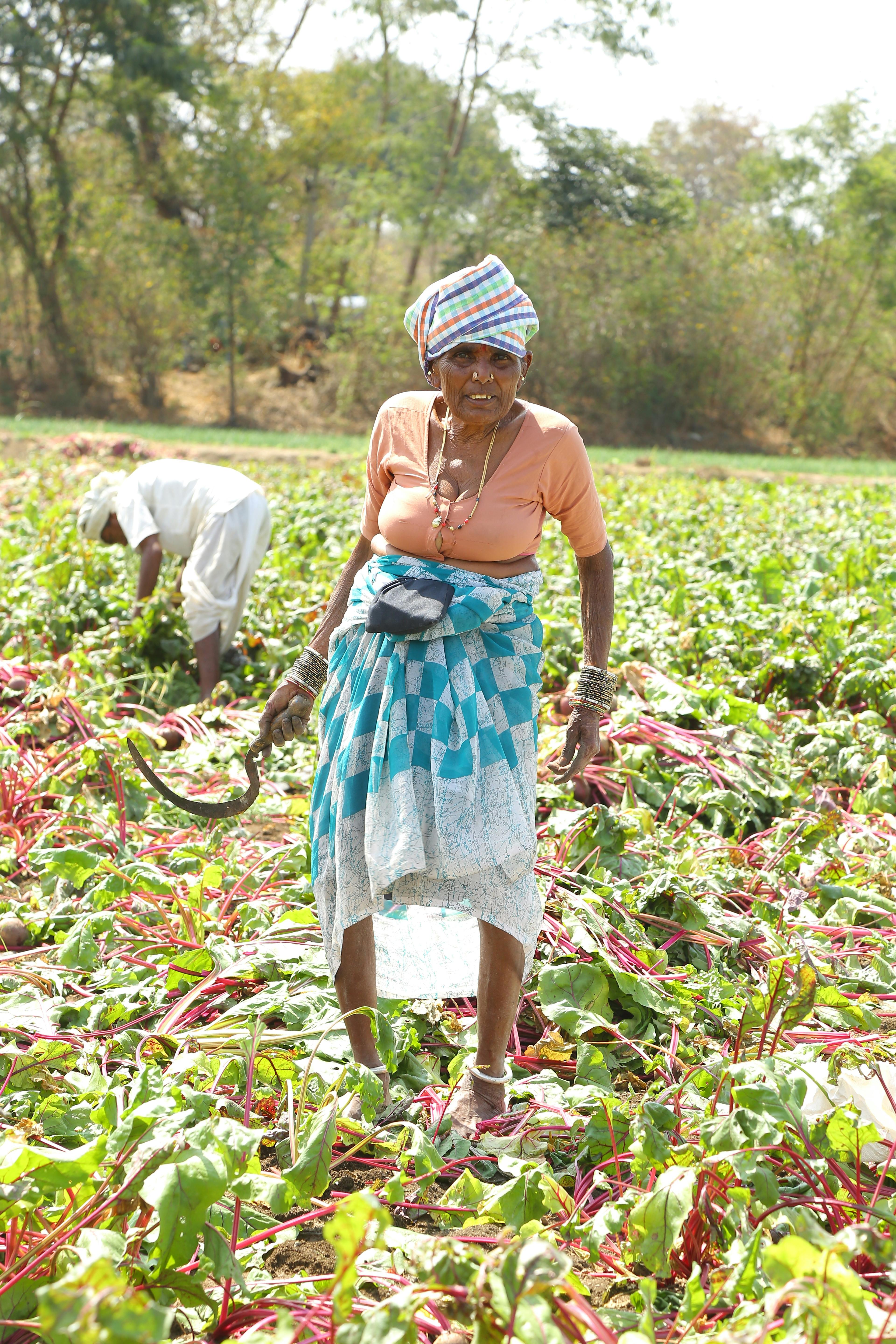 Famers in India · Free Stock Photo