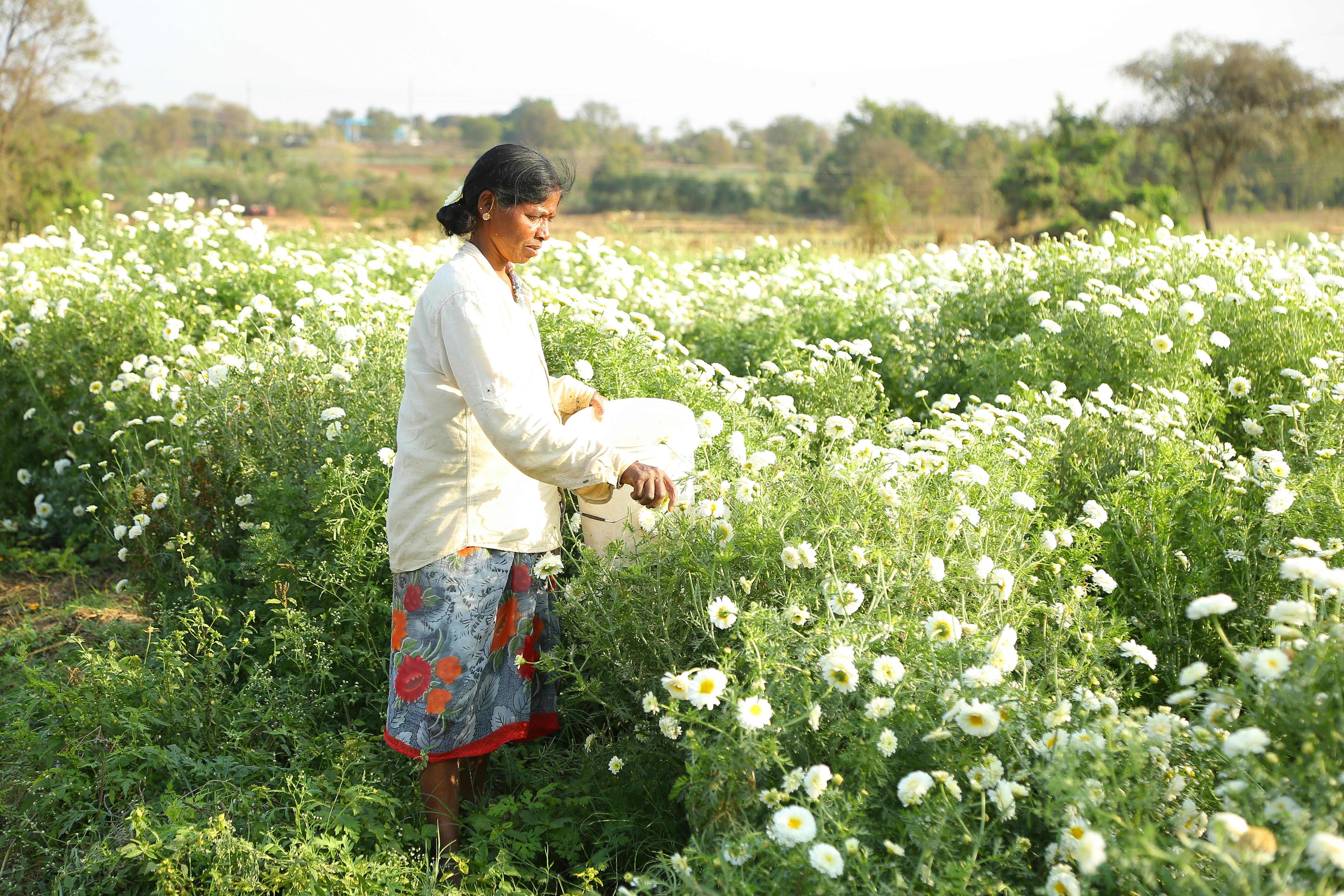 Bucket Ungu Photos, Download The BEST Free Bucket Ungu Stock Photos ...