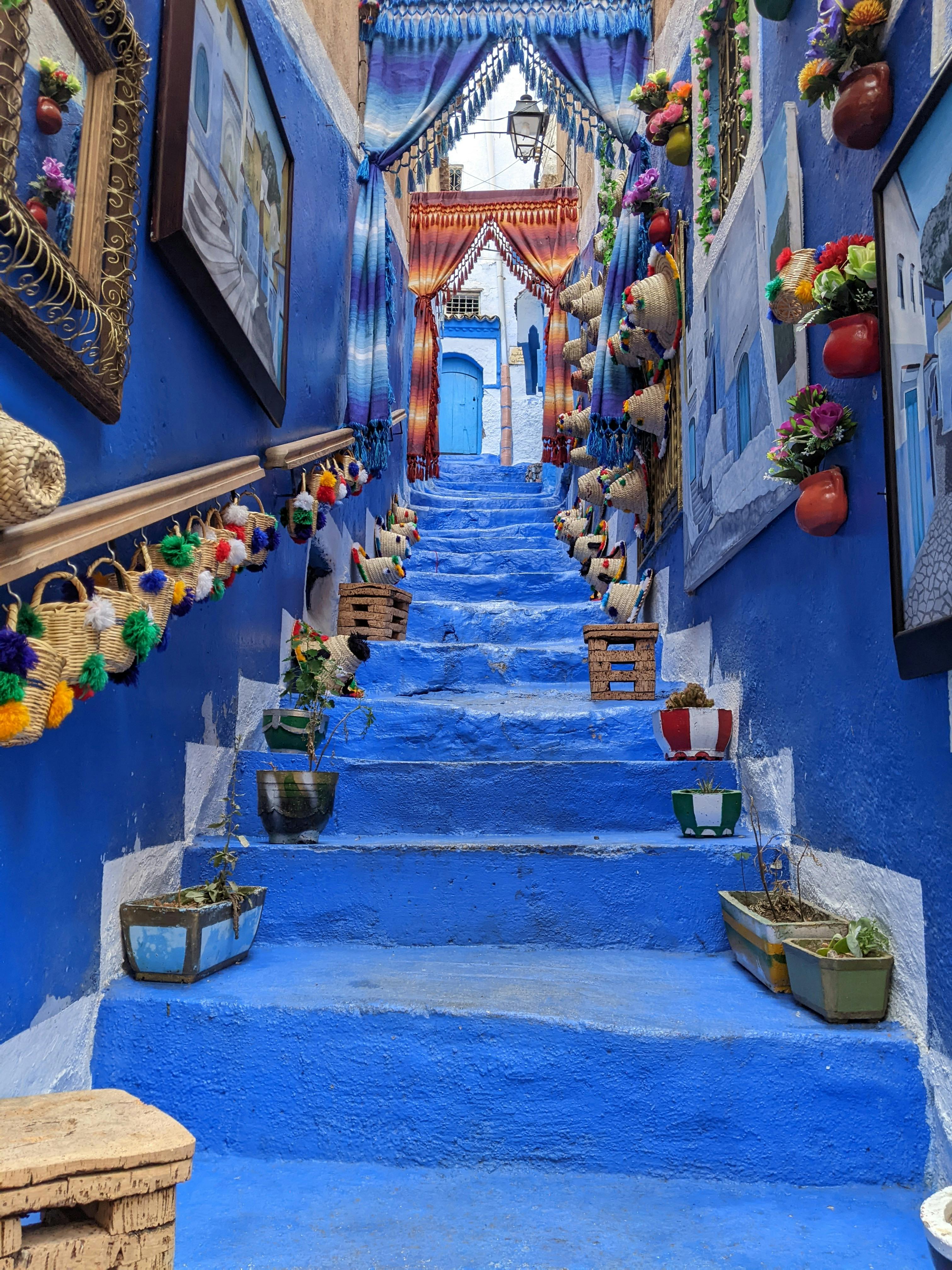 View of Blue Steps Decorated with Potted Plants and Art Hanging on the ...