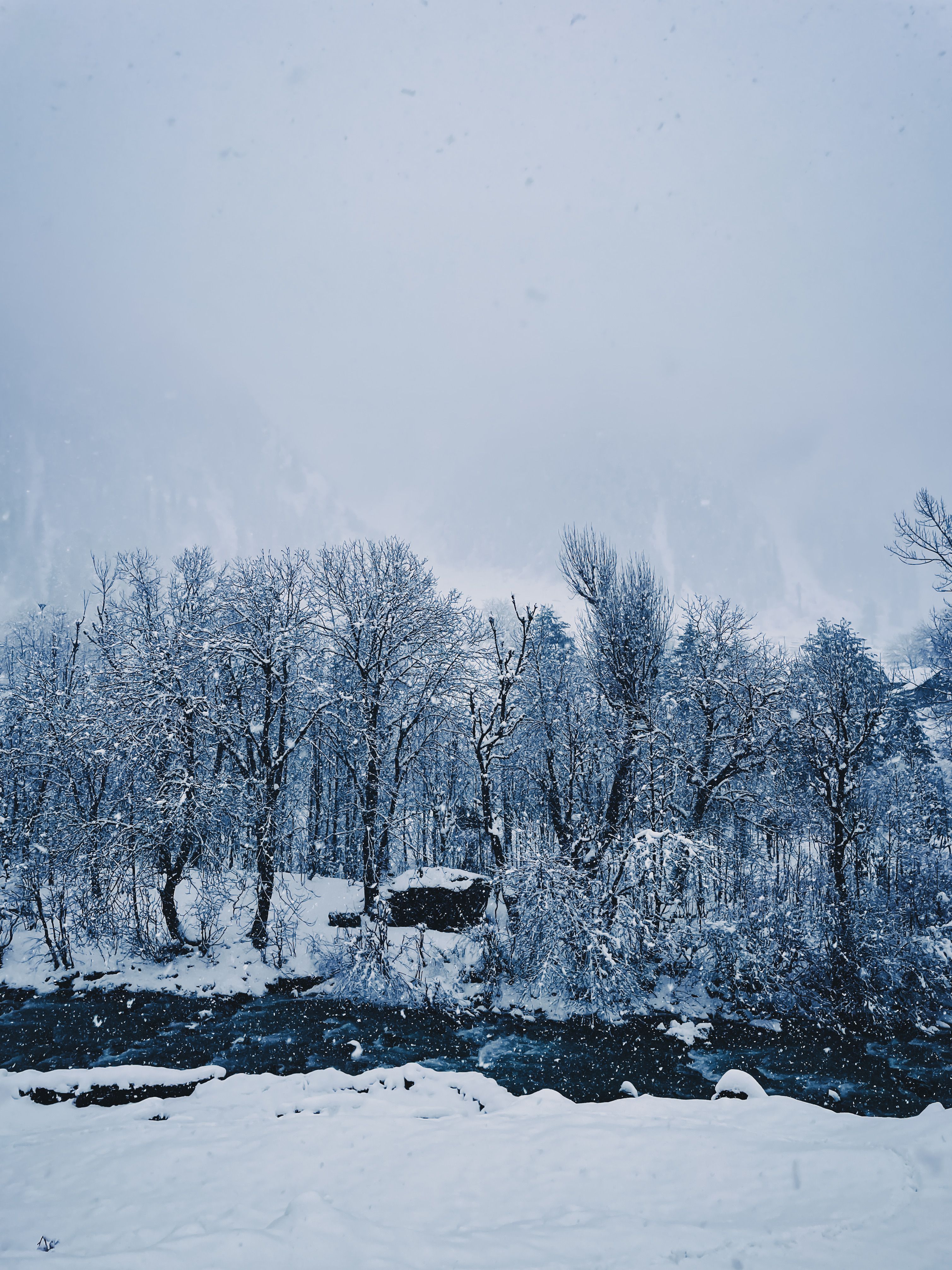 A snowy scene with trees and a river · Free Stock Photo