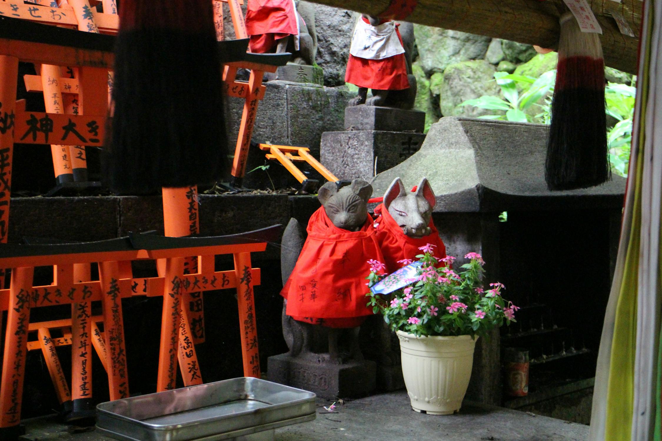 Kostenloses Foto Zum Thema Fuchs Japan Kyoto kostenloses-foto-zum-thema-fuchs-japan-kyoto