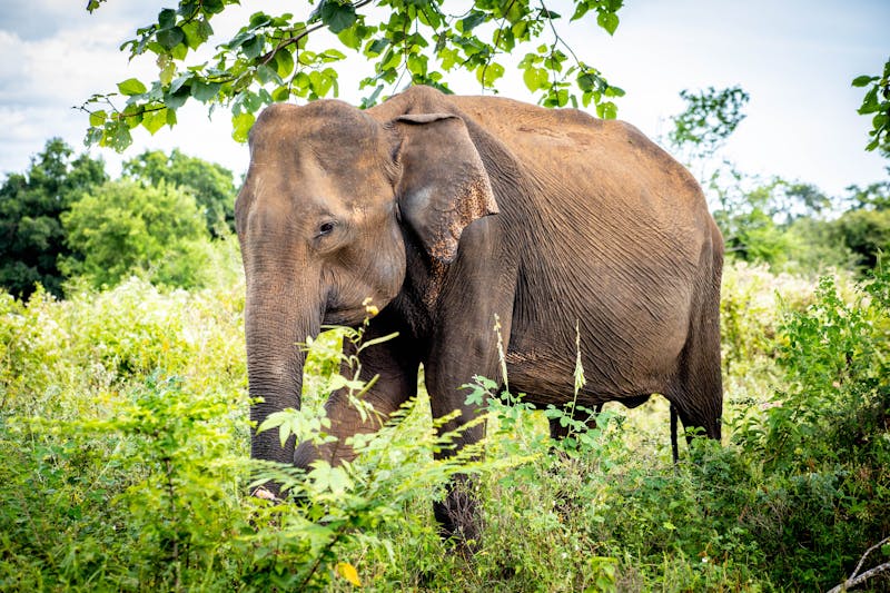 Alaska Wilderness Photos, Download The BEST Free Alaska Wilderness ...