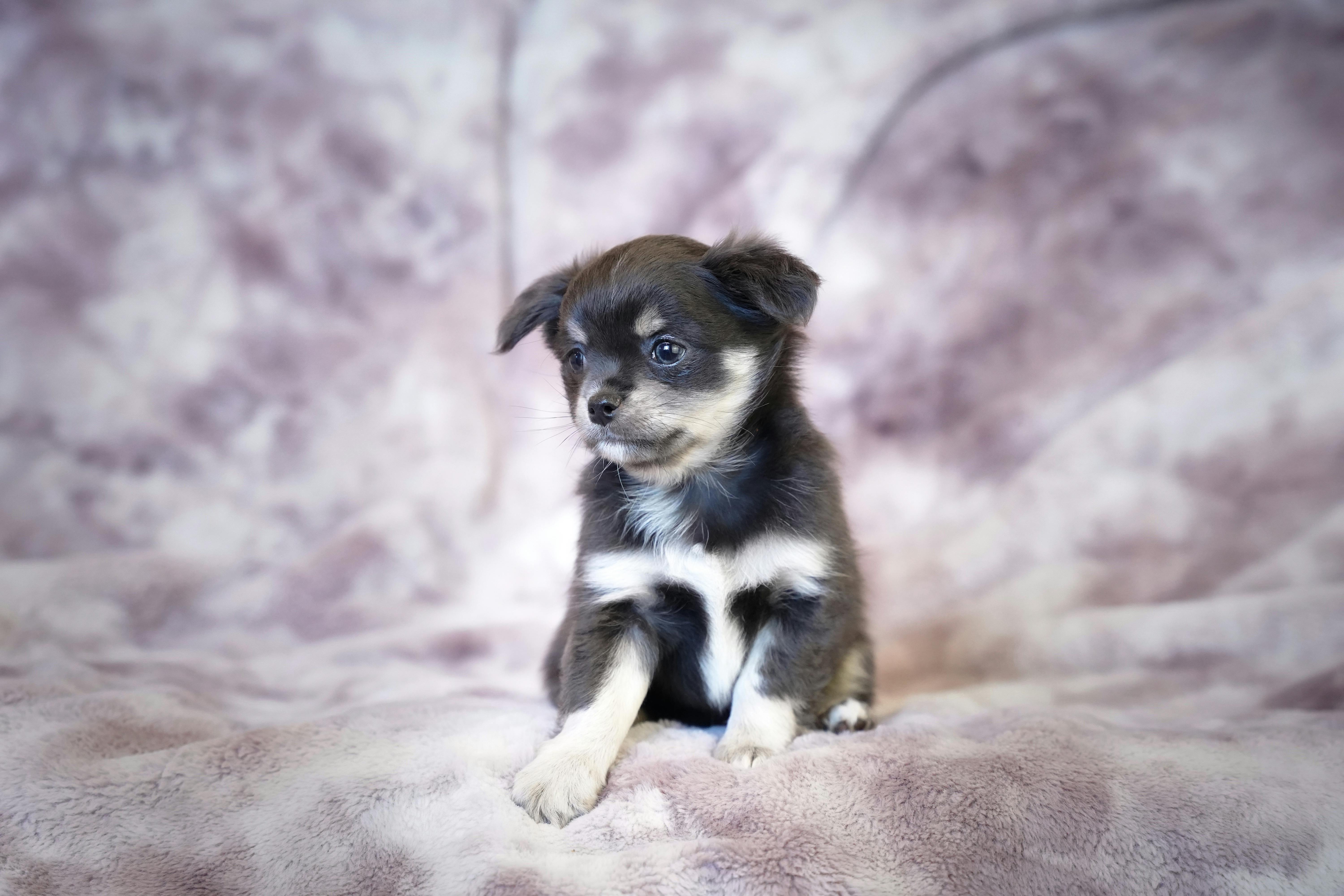 Black Mages Wallpaper Photos, Download The BEST Free Black Mages ...