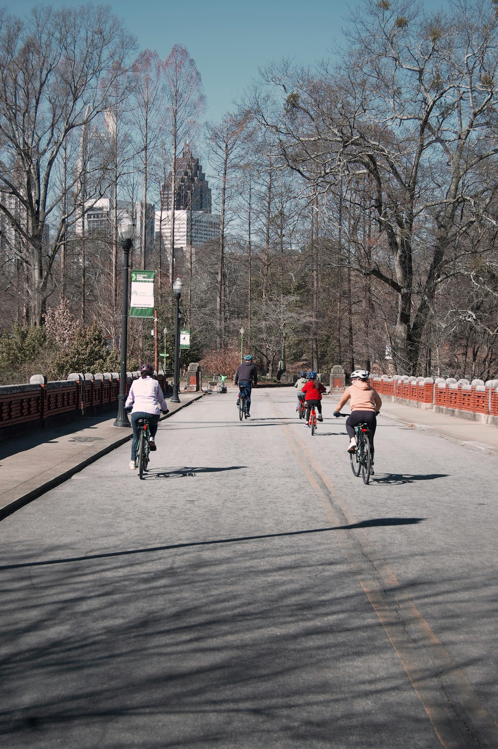 People Riding Bikes on Street · Free Stock Photo