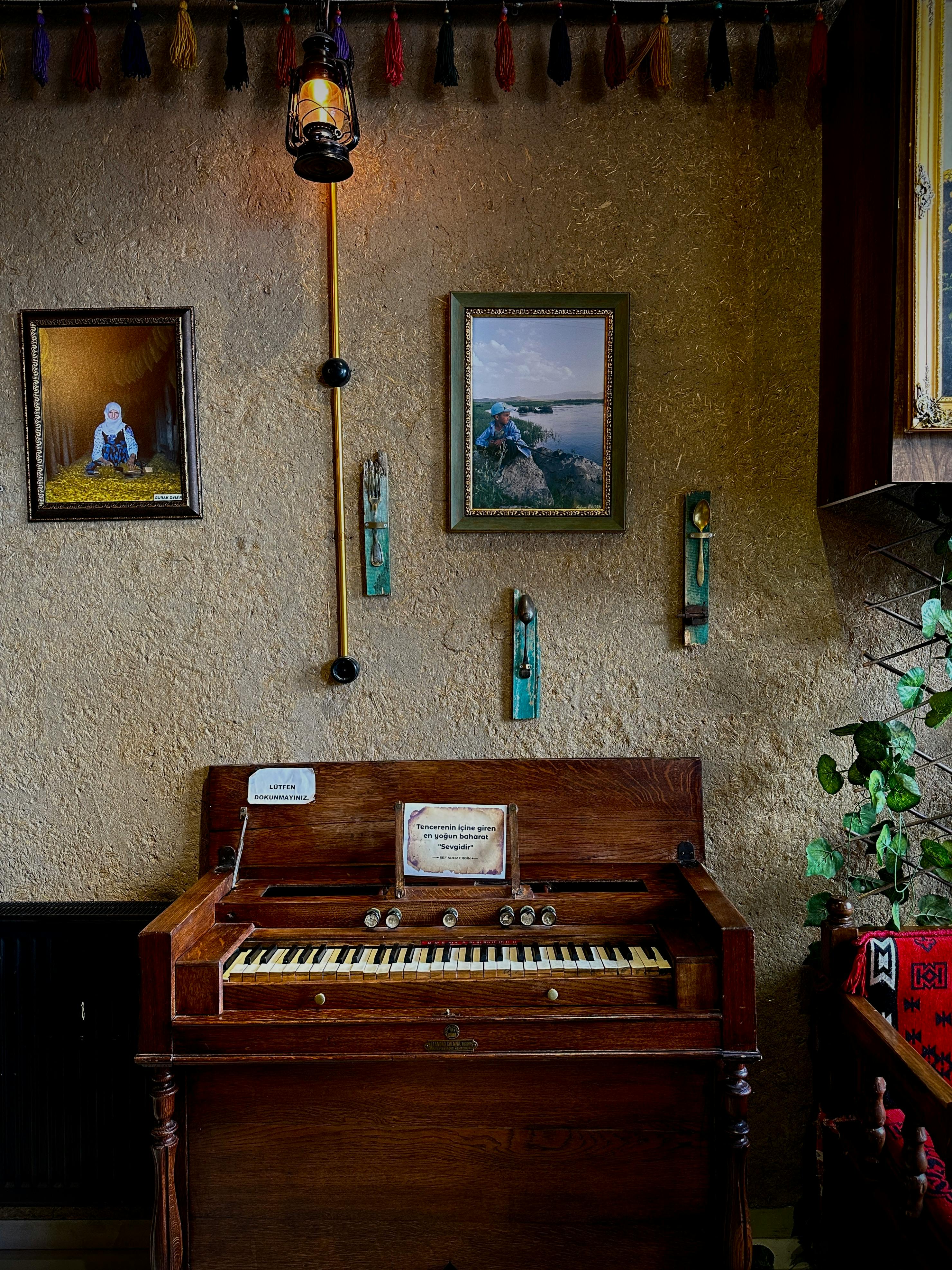 Pictures Of Musical Instruments Photos, Download The BEST Free Pictures ...