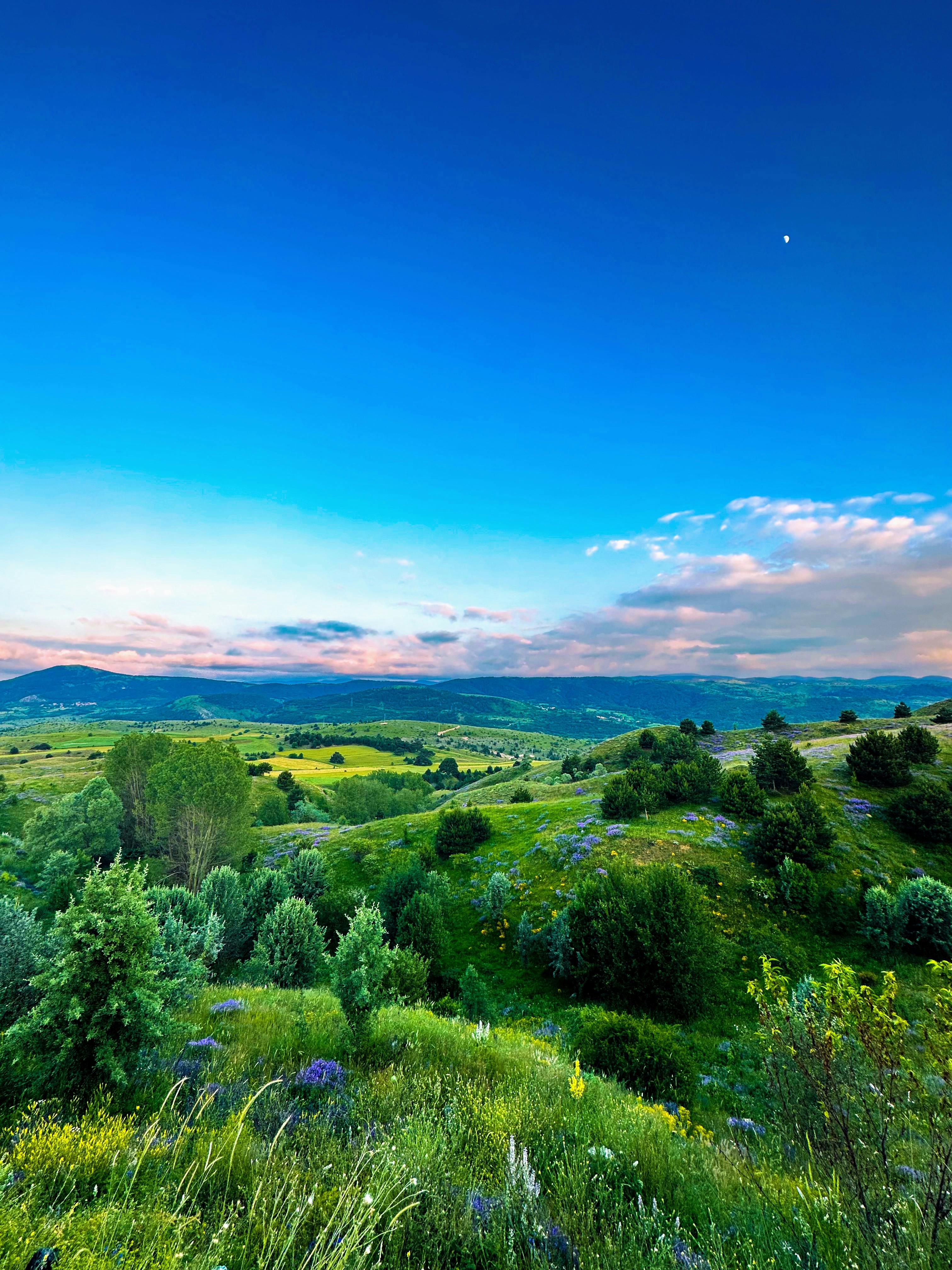 Green Countryside Landscape · Free Stock Photo