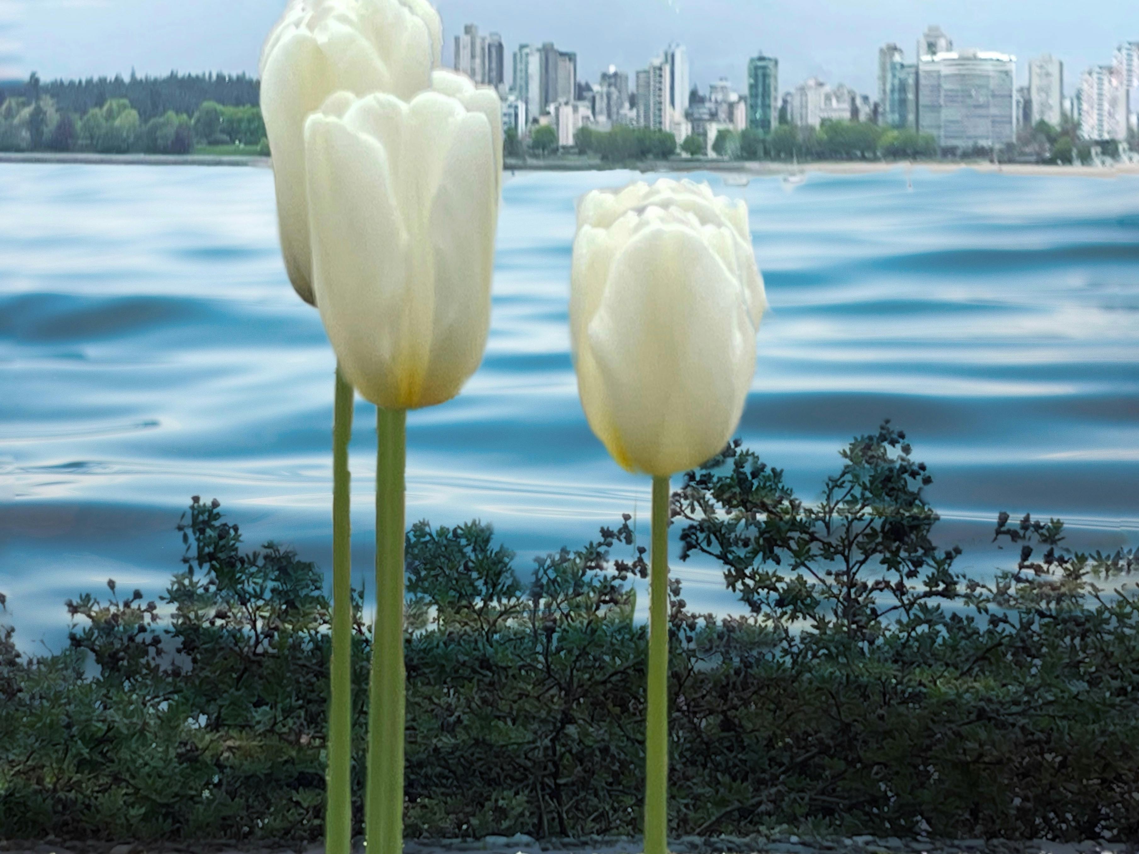 Colleen Lord - Photography