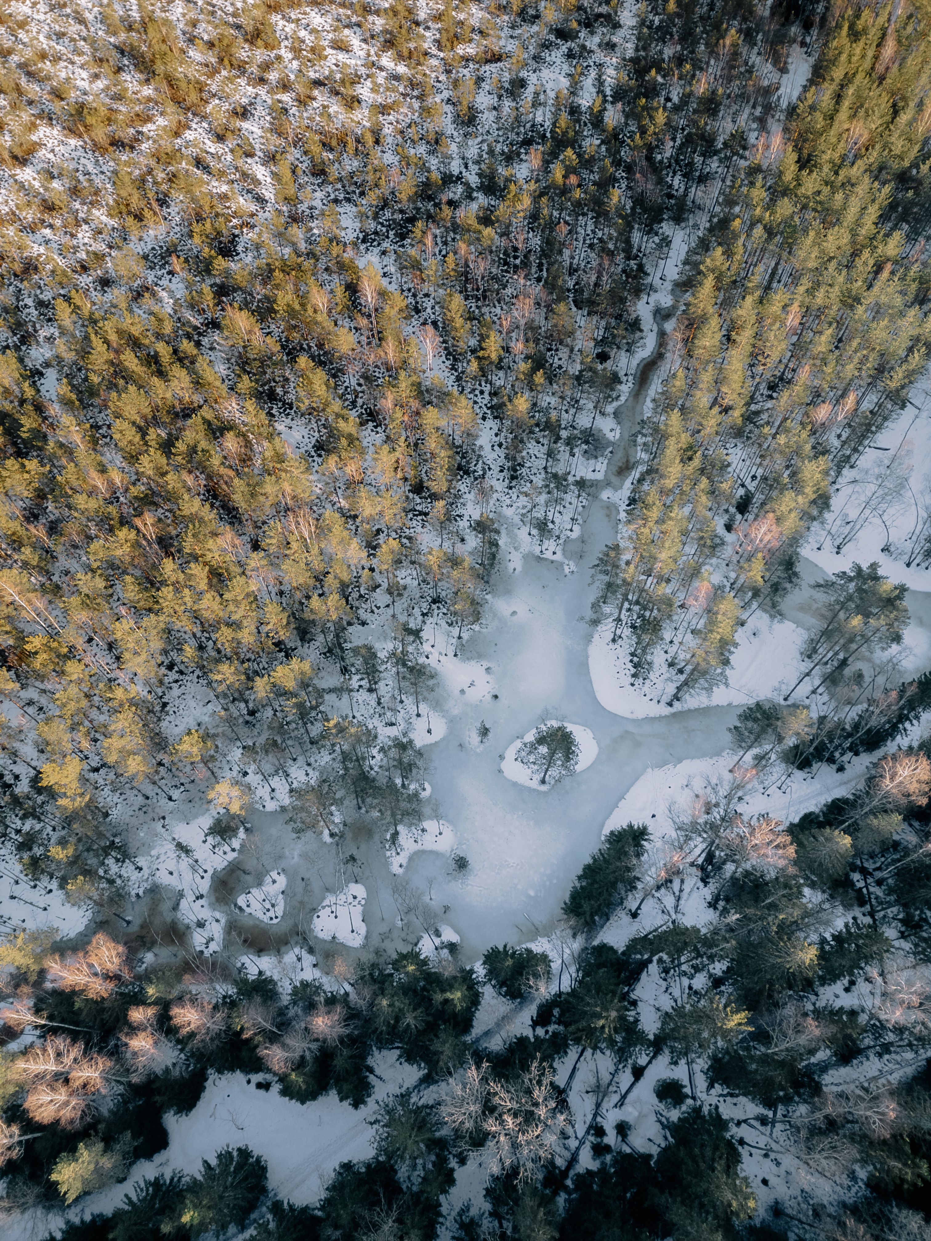 High Angle View of a Frozen Lake and a Forest in Winter · Free Stock Photo