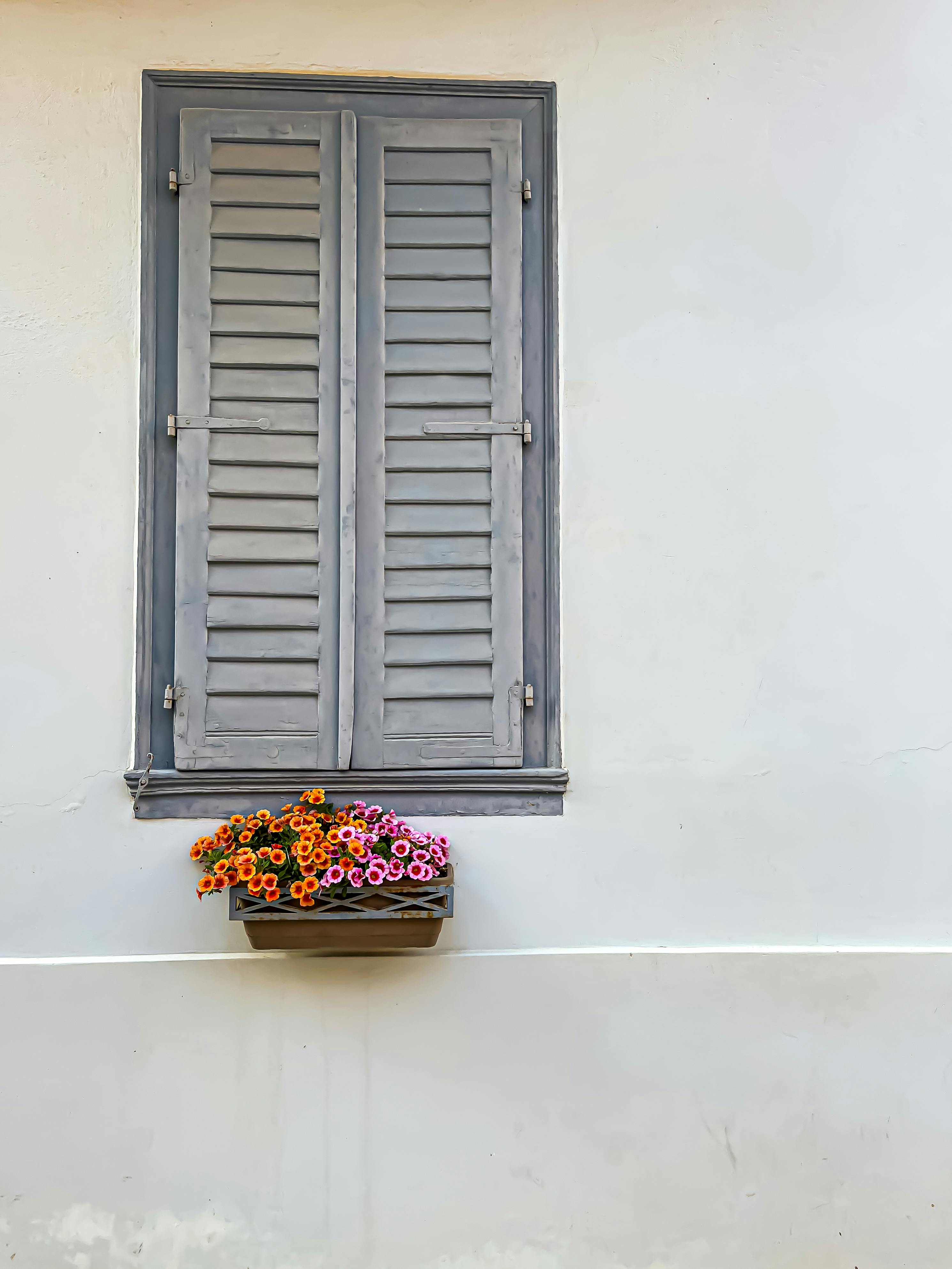 Gray Window Shutters in White Wall · Free Stock Photo