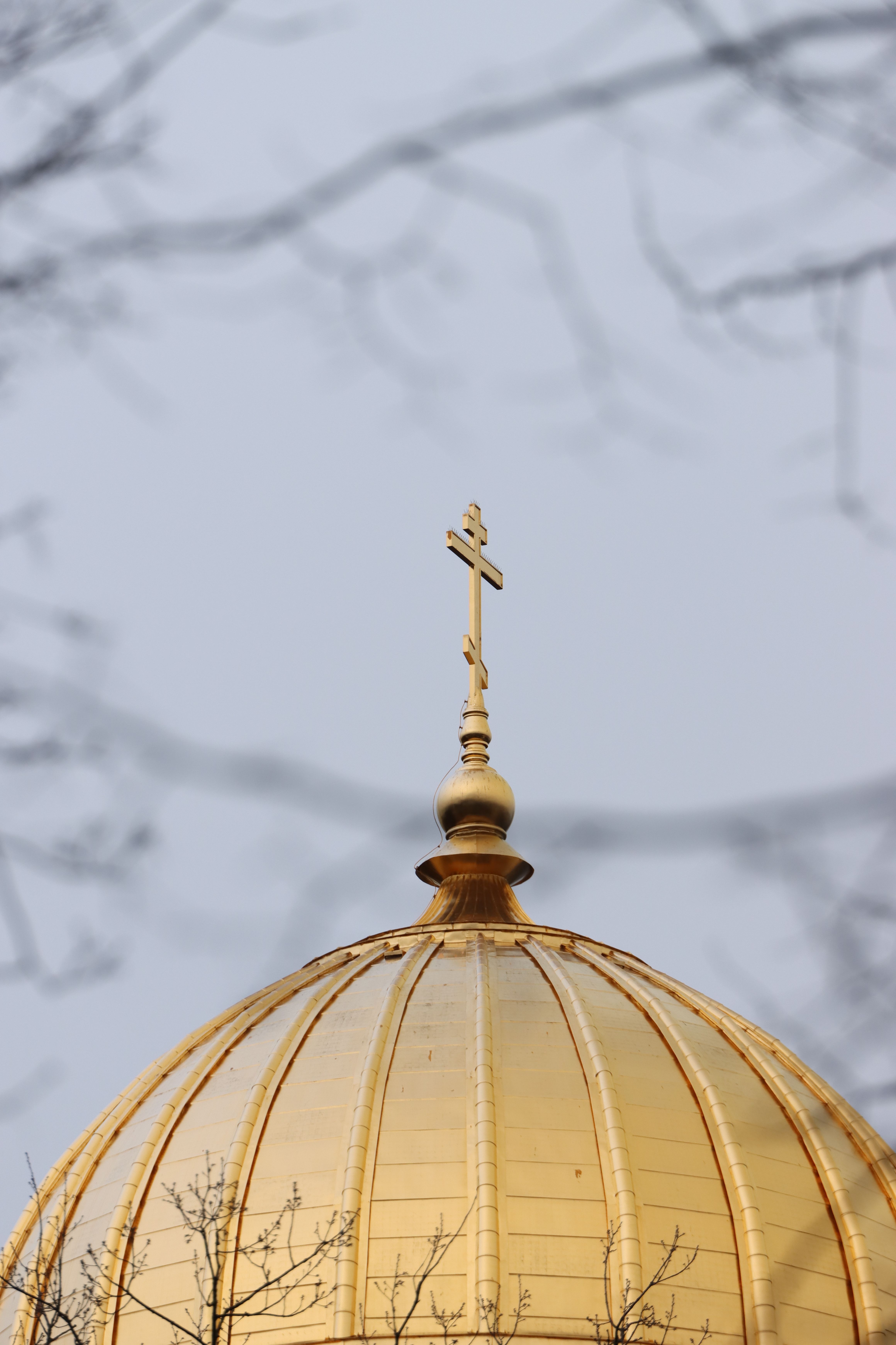 Small Dome Photos, Download The BEST Free Small Dome Stock Photos & HD ...