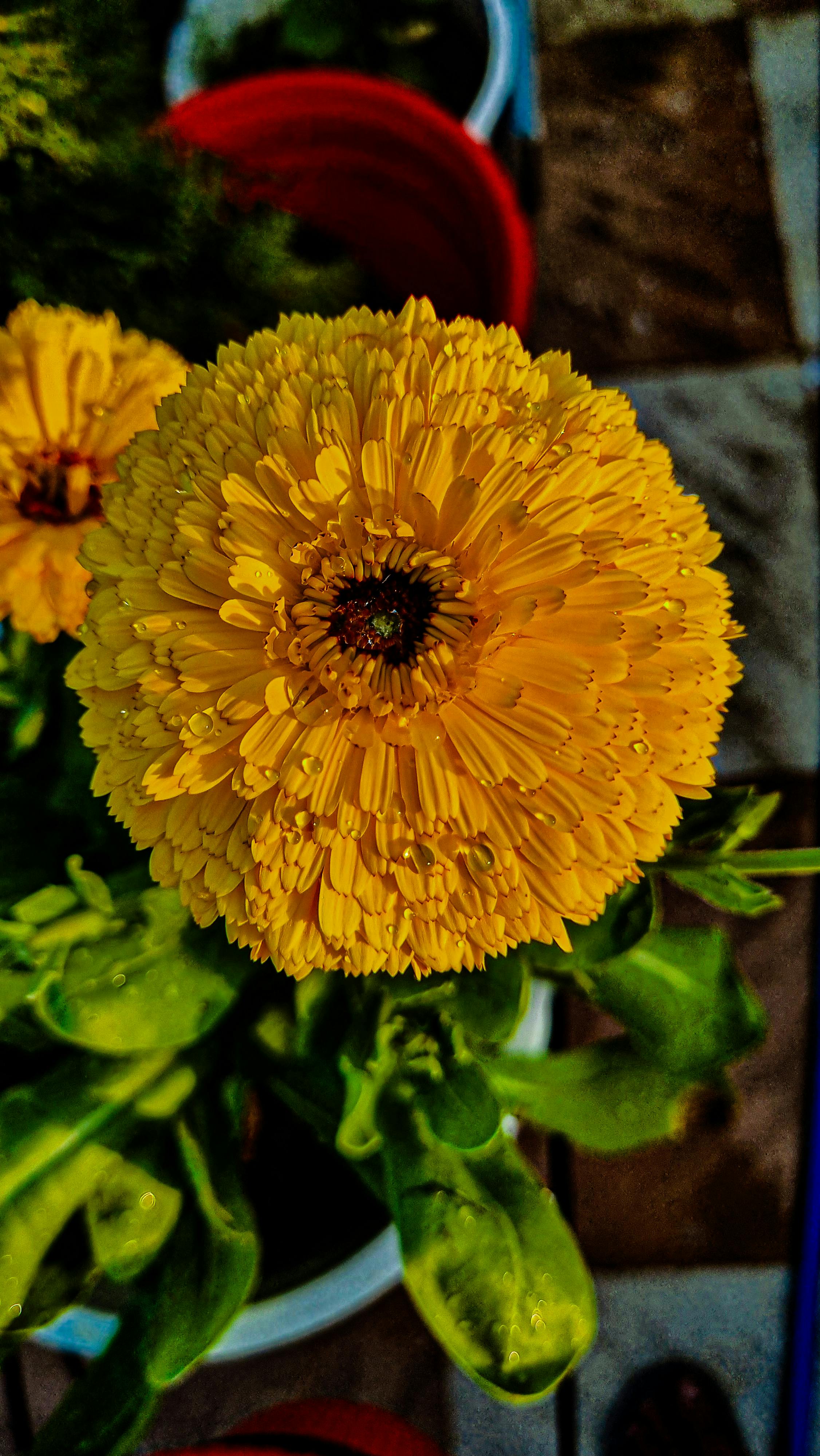 Utkarsh Shukla - Photography