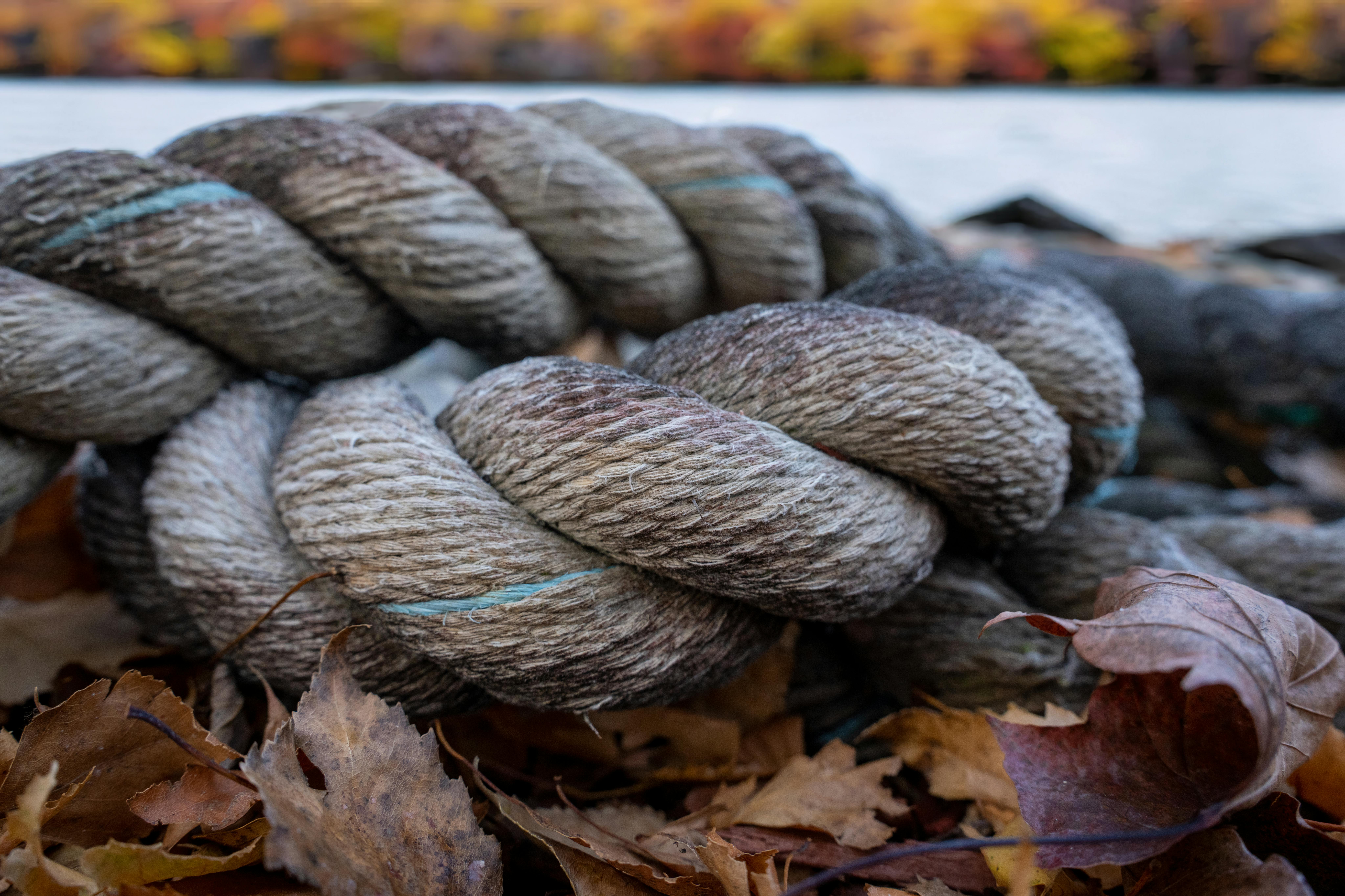 Ship Rope on Autumn Leaves · Free Stock Photo