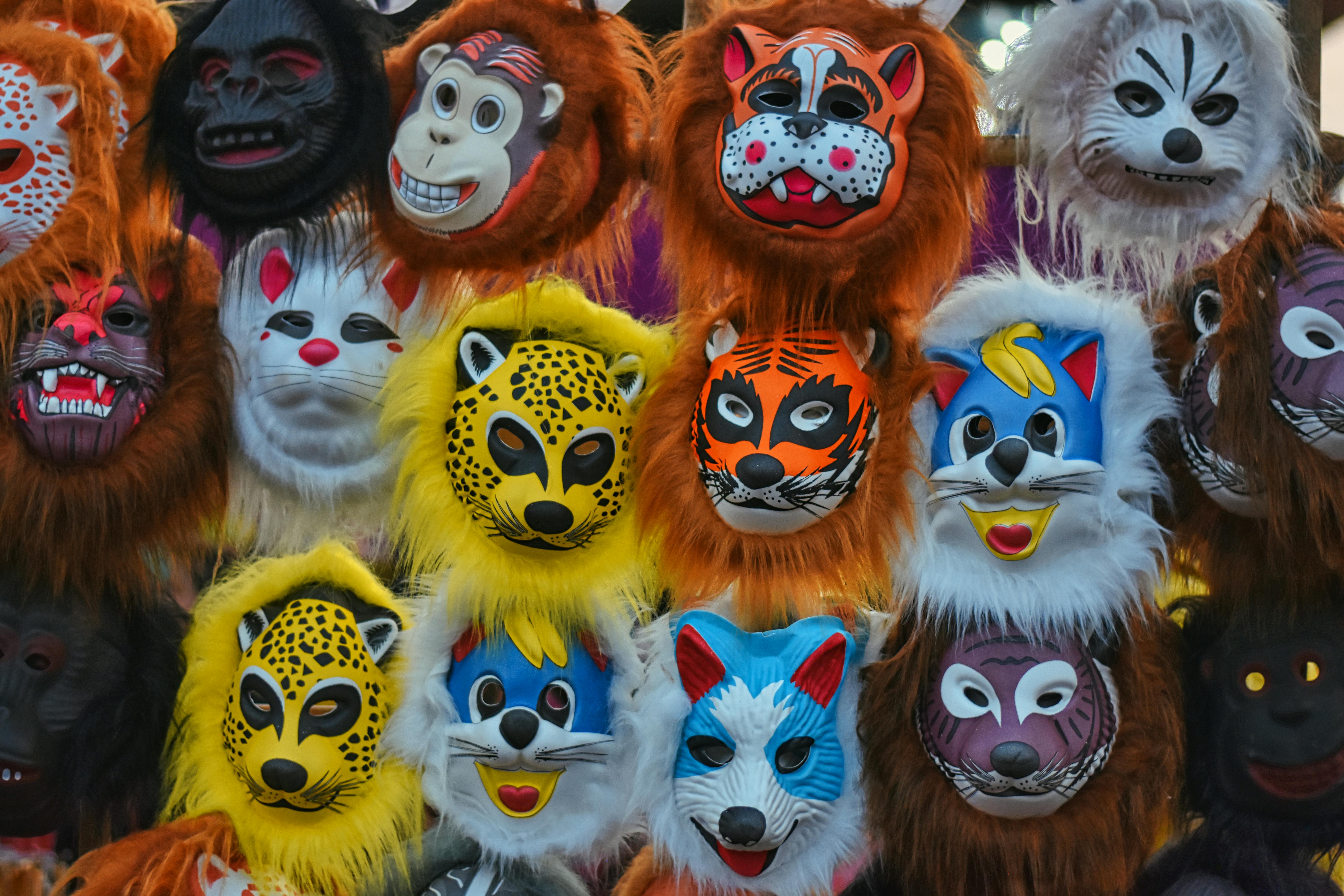 Display of Animal Masks for Kids · Free Stock Photo