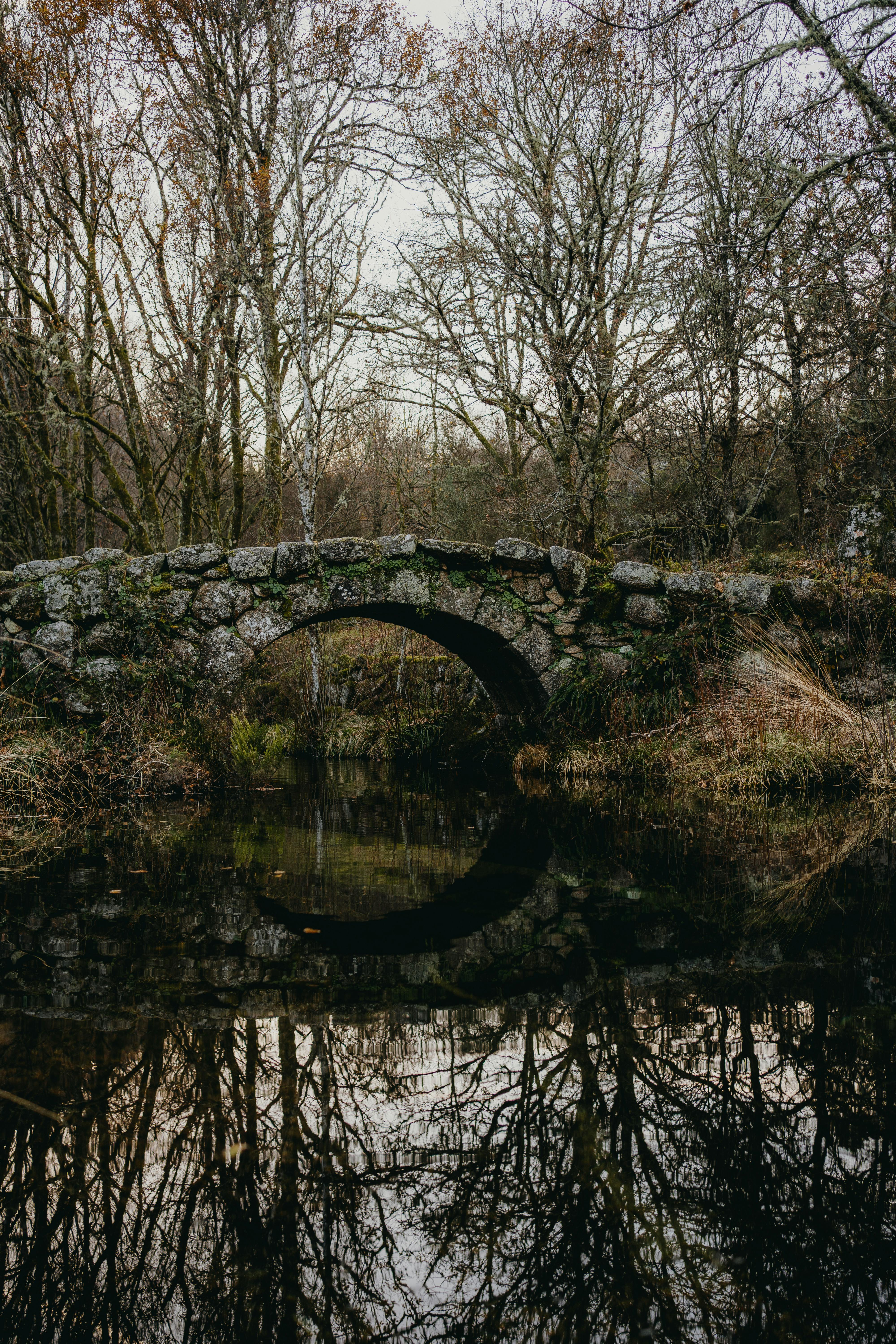 Stone Arch Bridge over Stream · Free Stock Photo