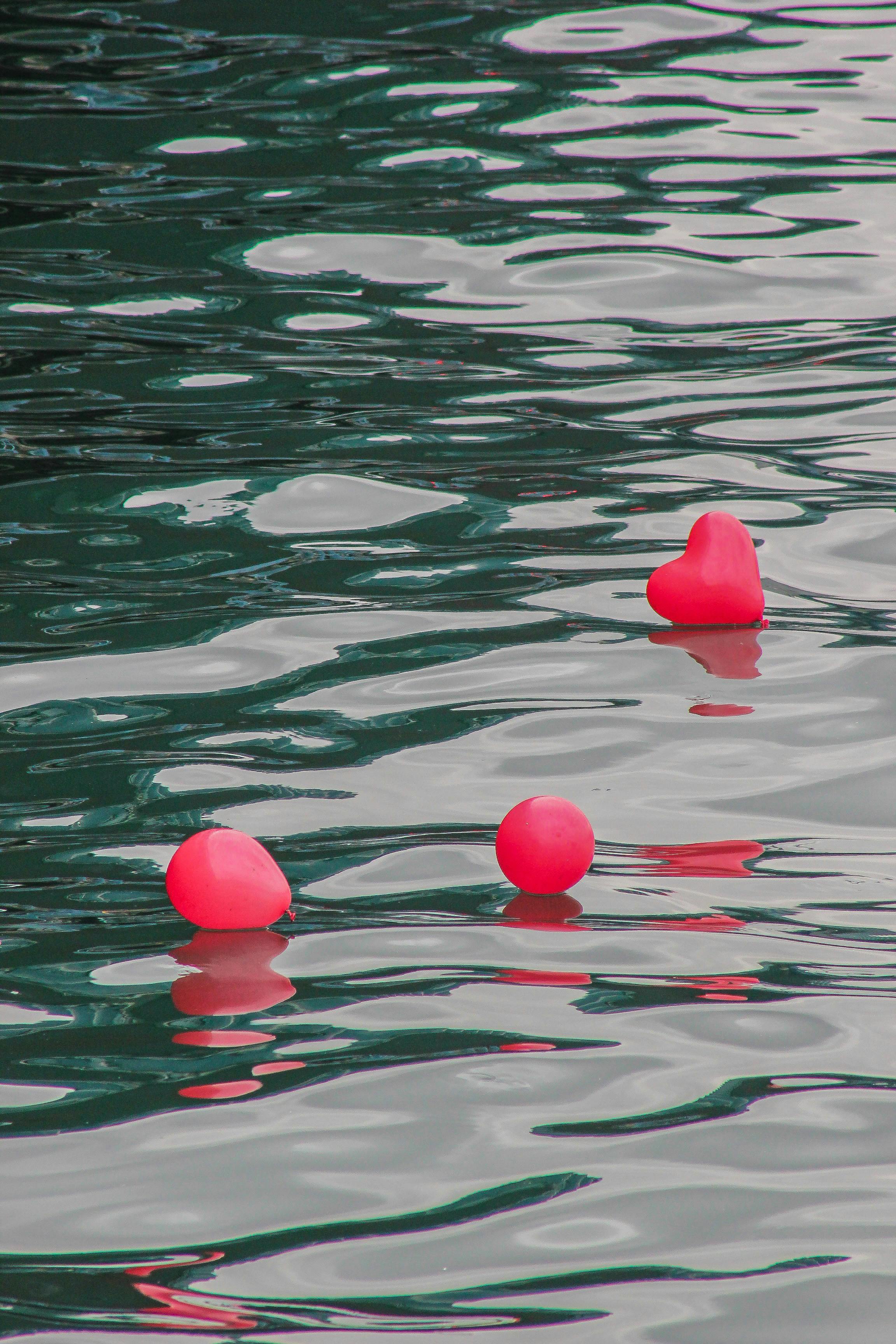 Balloons Cluster Of Balloons Photos, Download The BEST Free Balloons ...