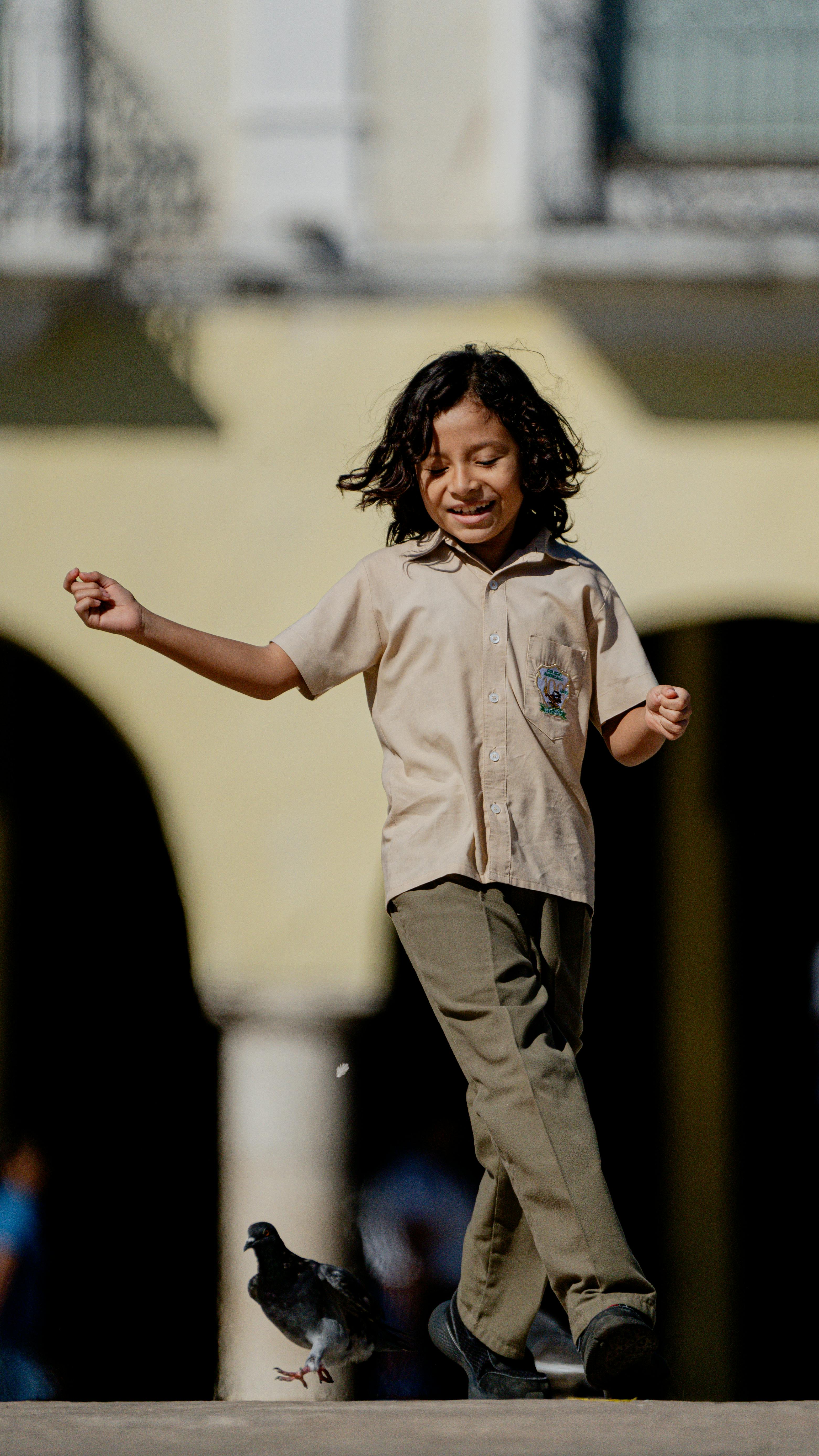 Pigeon Kids Photos, Download The BEST Free Pigeon Kids Stock Photos ...