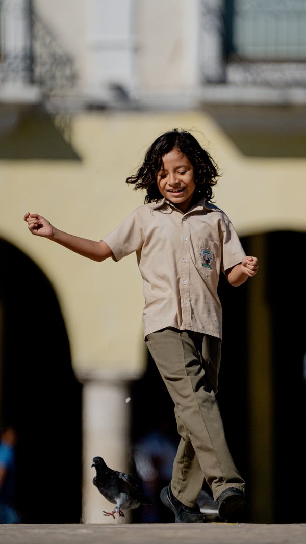 Pigeon Kids Photos, Download The BEST Free Pigeon Kids Stock Photos ...