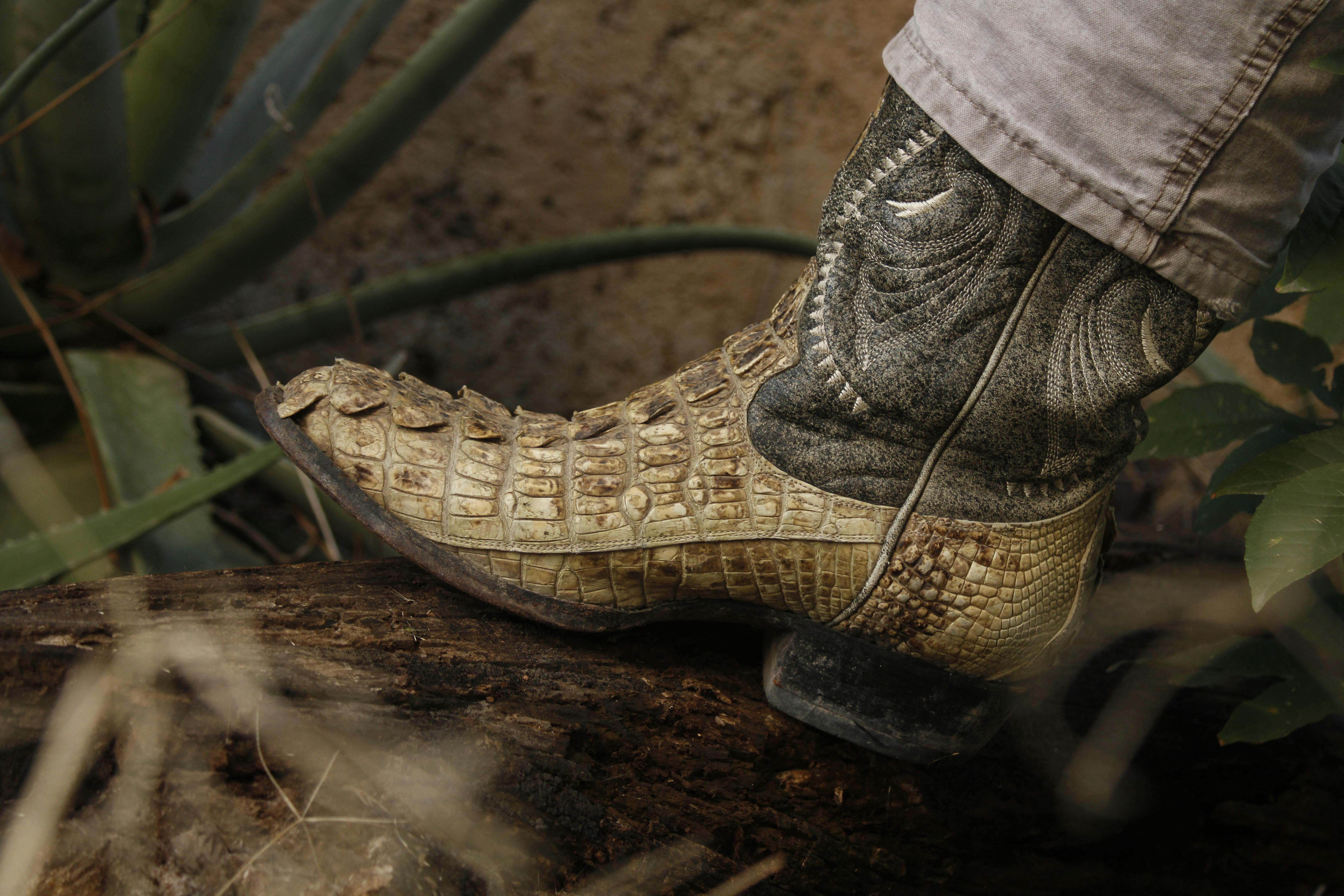 A Snake Skin Boot · Free Stock Photo