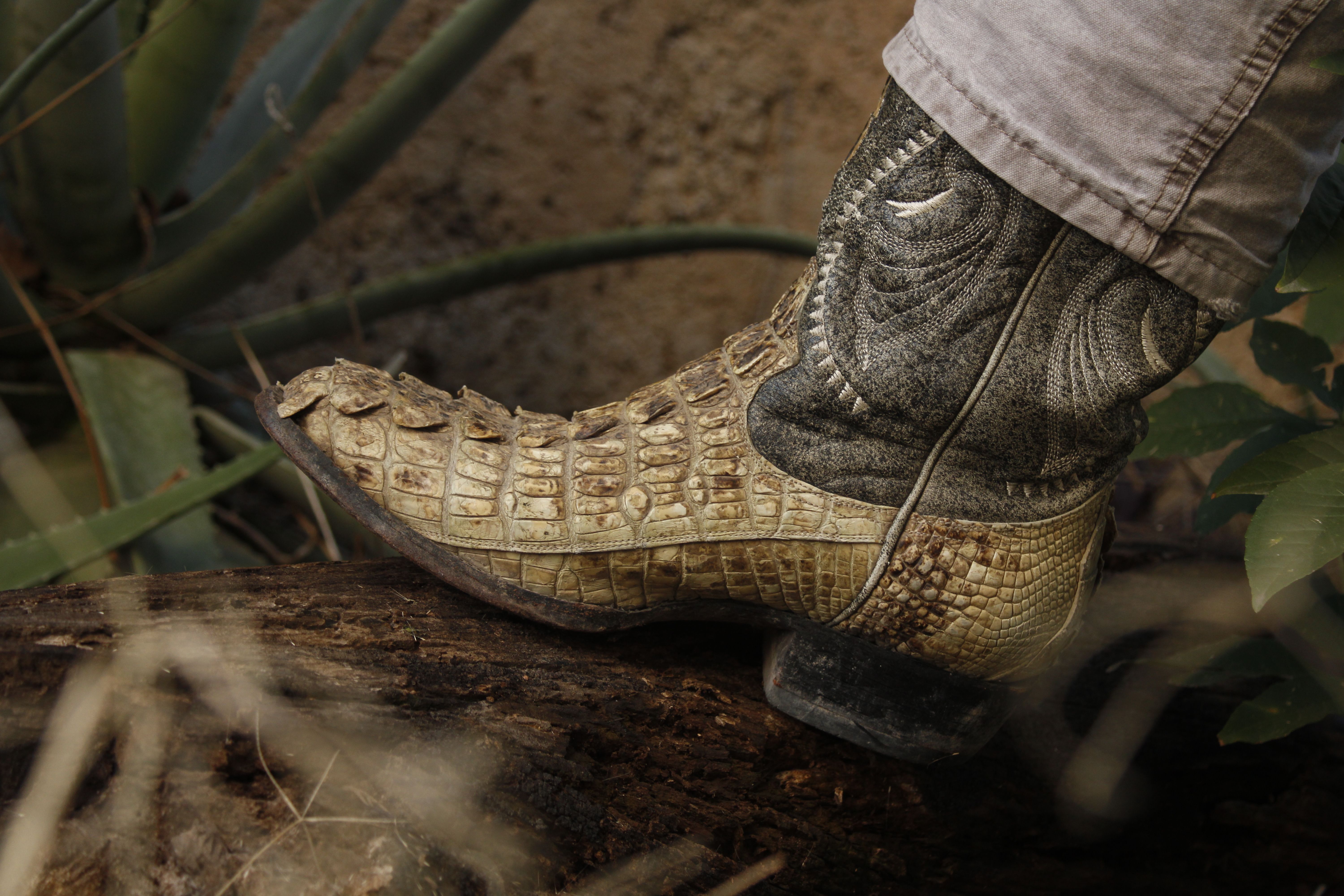 Botas Photos, Download The BEST Free Botas Stock Photos & HD Images