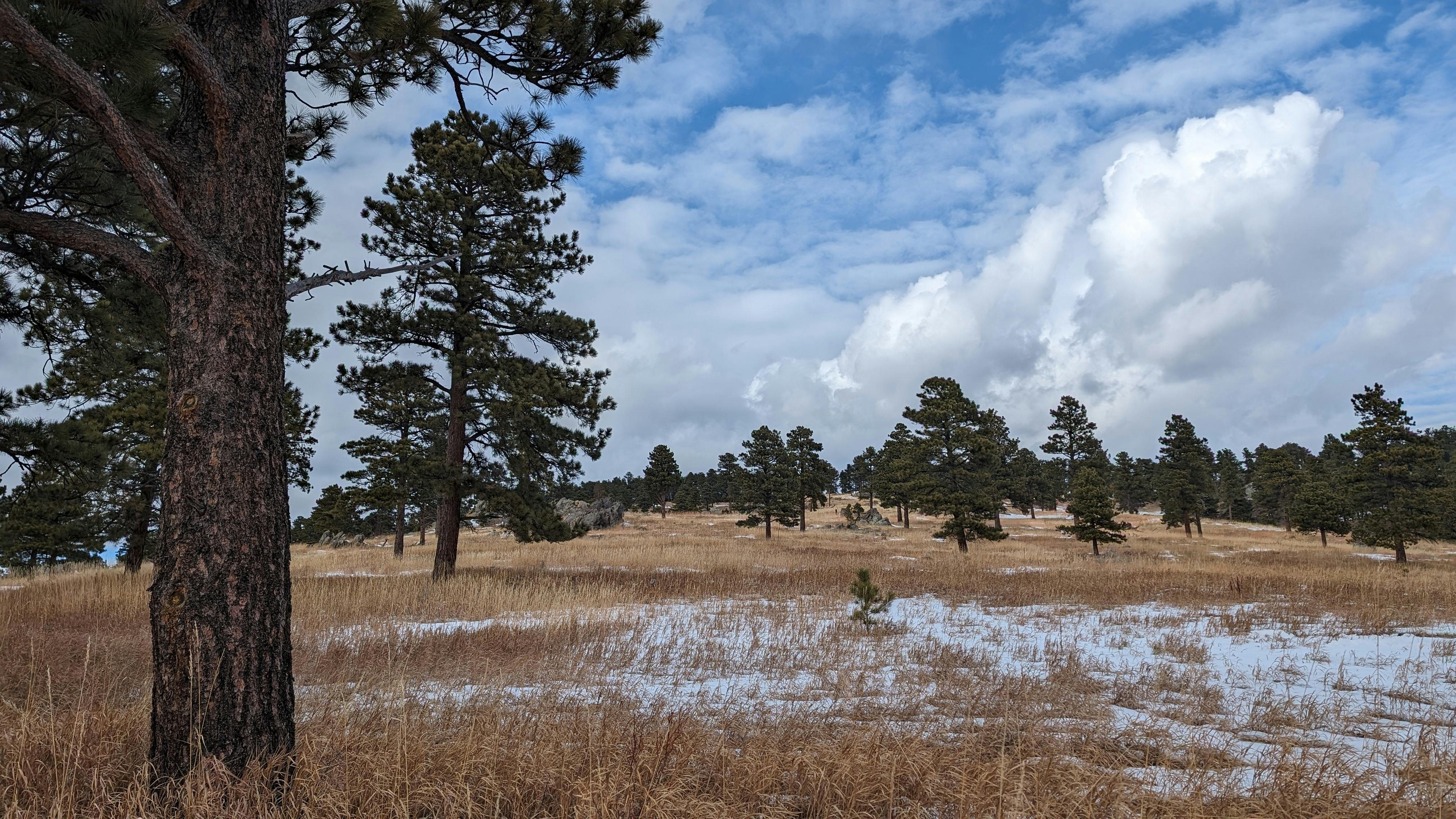 Jeffrey Riehle - 사진