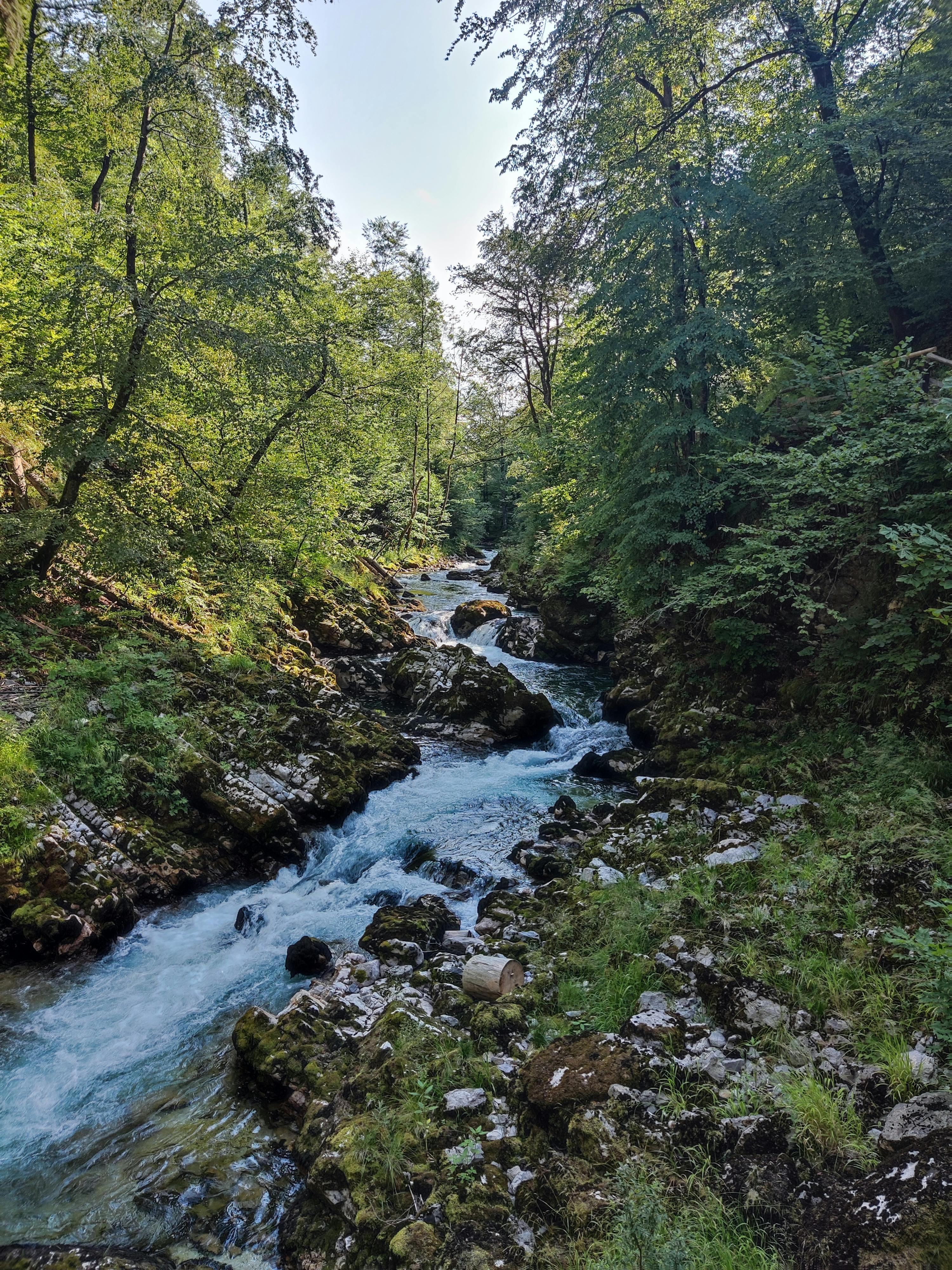 A Stream Photos, Download The BEST Free A Stream Stock Photos & HD Images